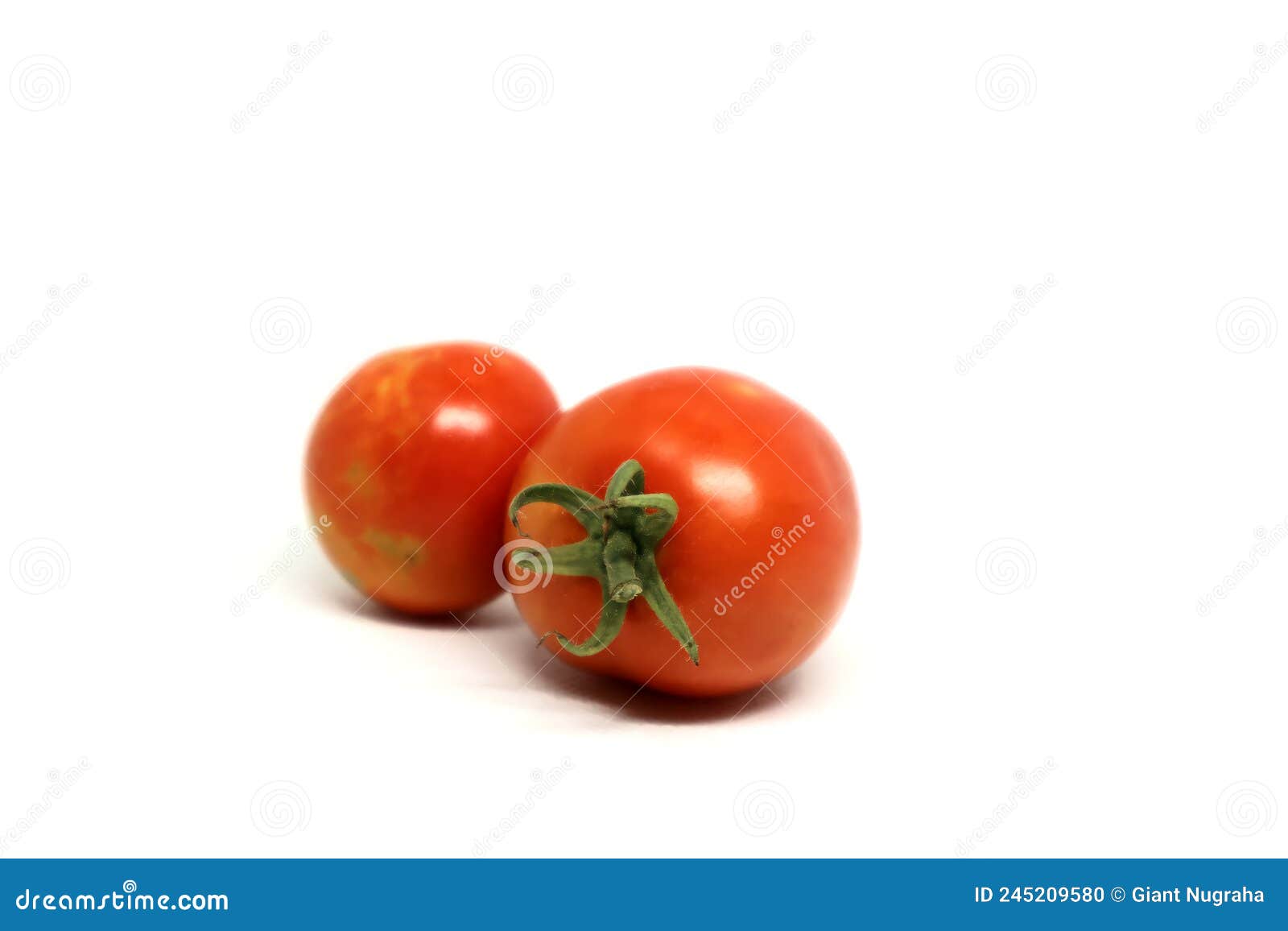 2 small tomato stock photo. Image of orange, gourd, vegetable - 245209580