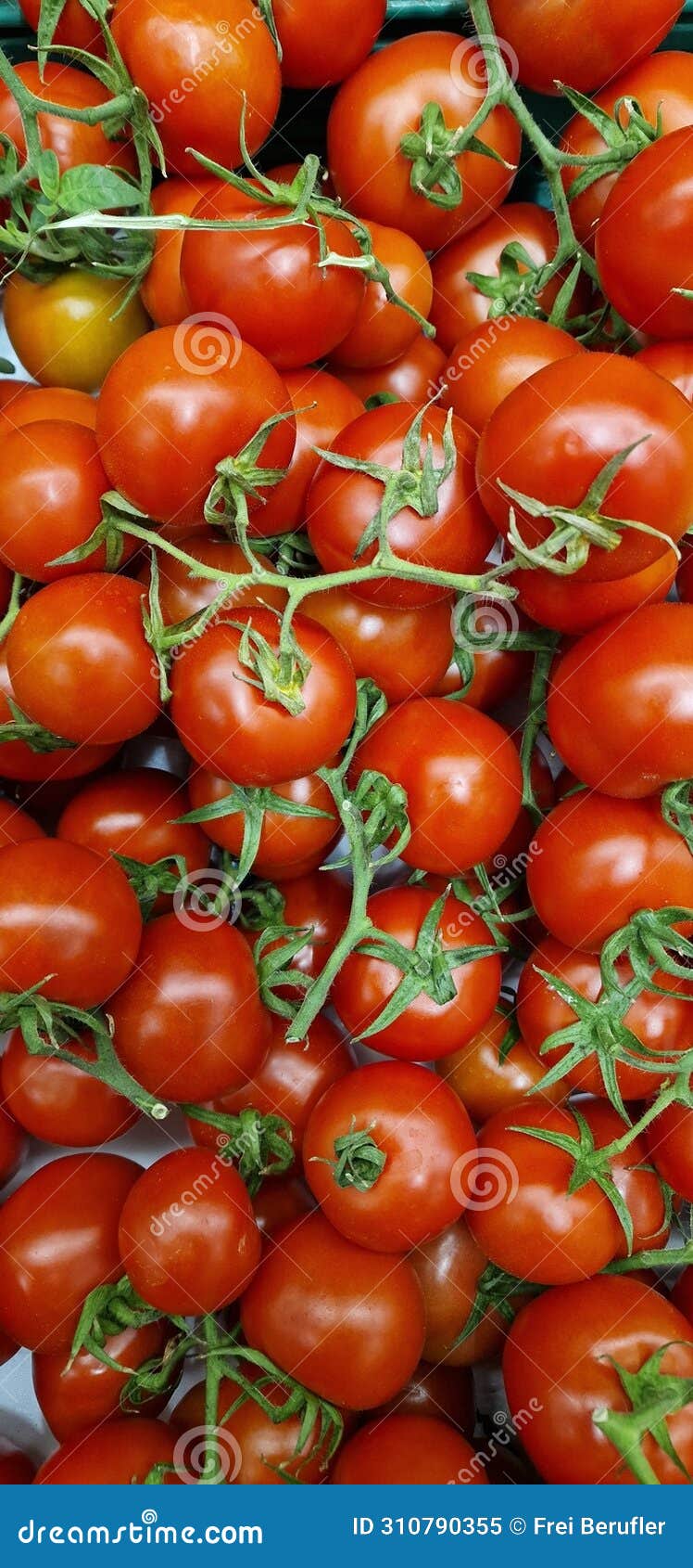 Small Tomato Round Full Red Yummy Stock Image - Image of healthy ...
