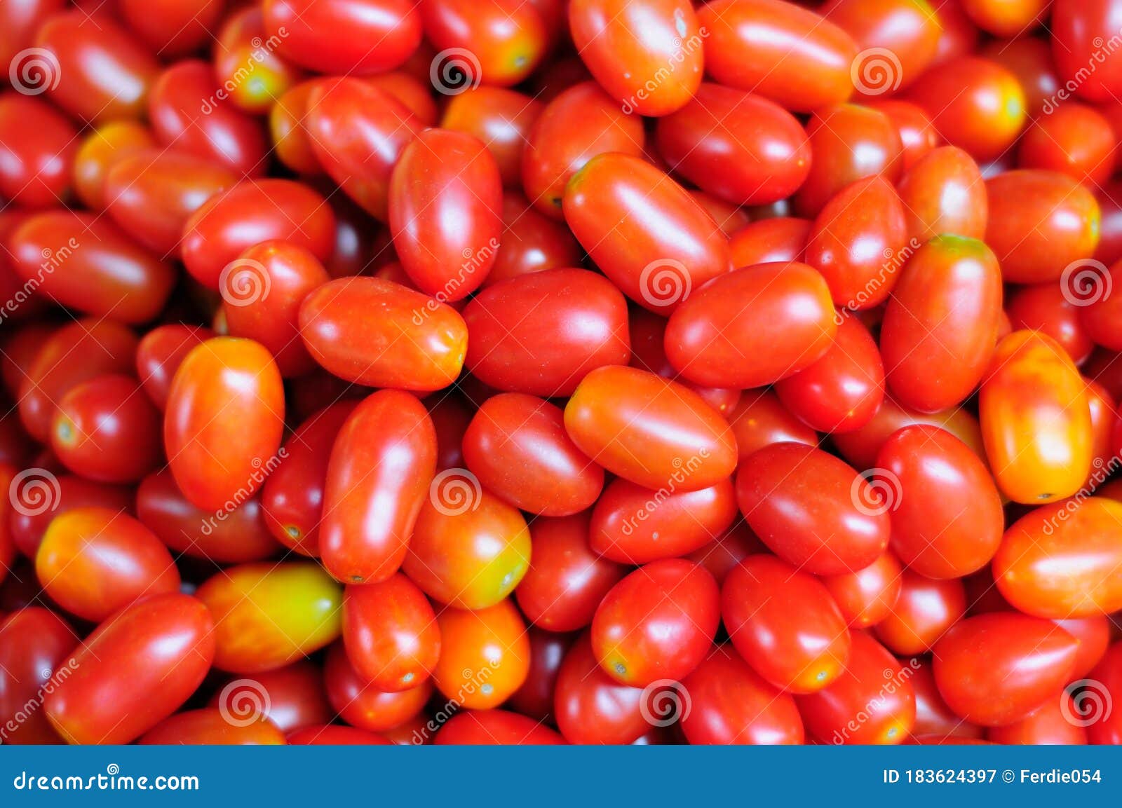 A Stack of Fresh Small Red Tomatoes Stock Image - Image of fruit, sell ...