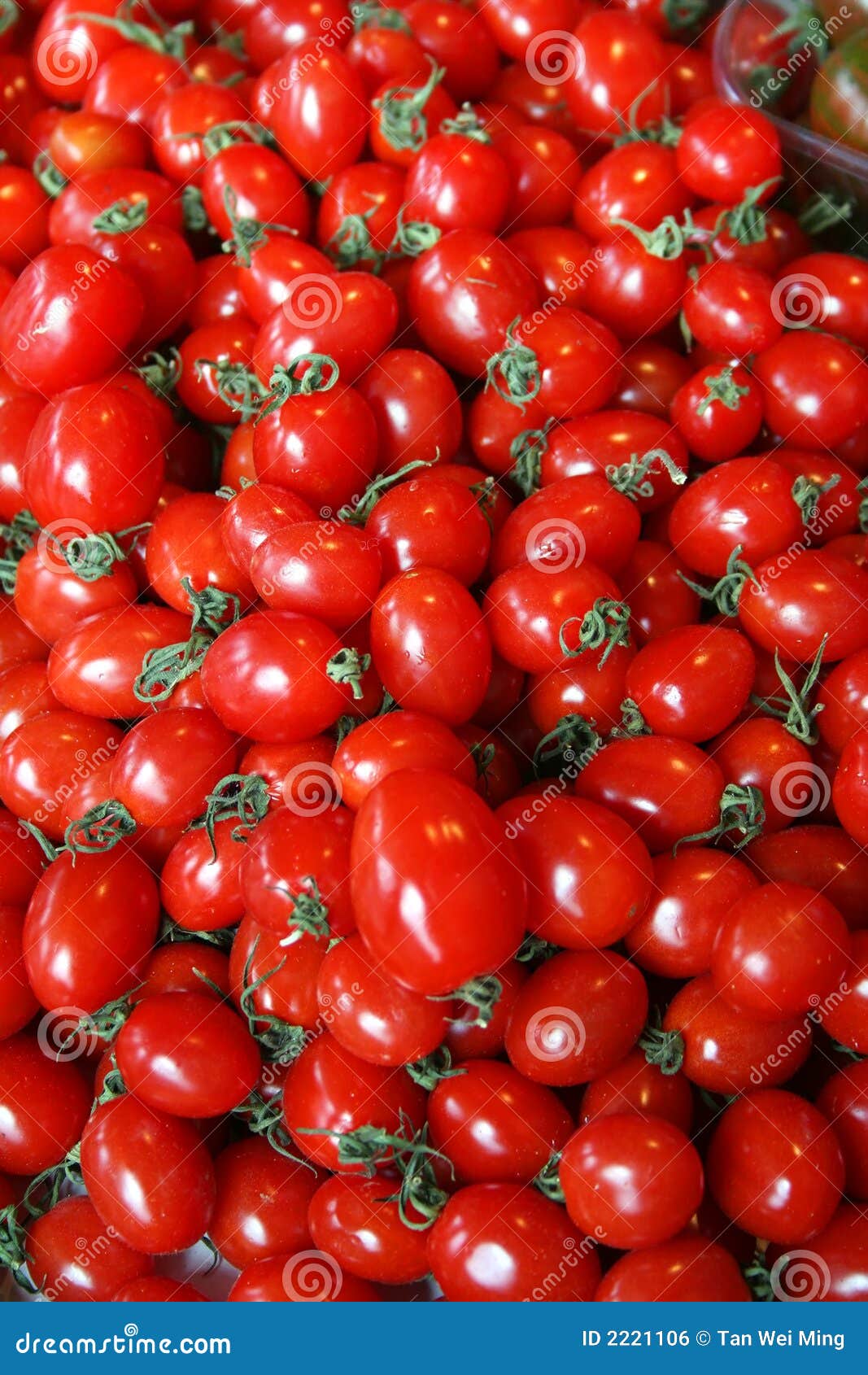 Small Tomatoes stock photo. Image of calories, diet, oxidant - 2221106