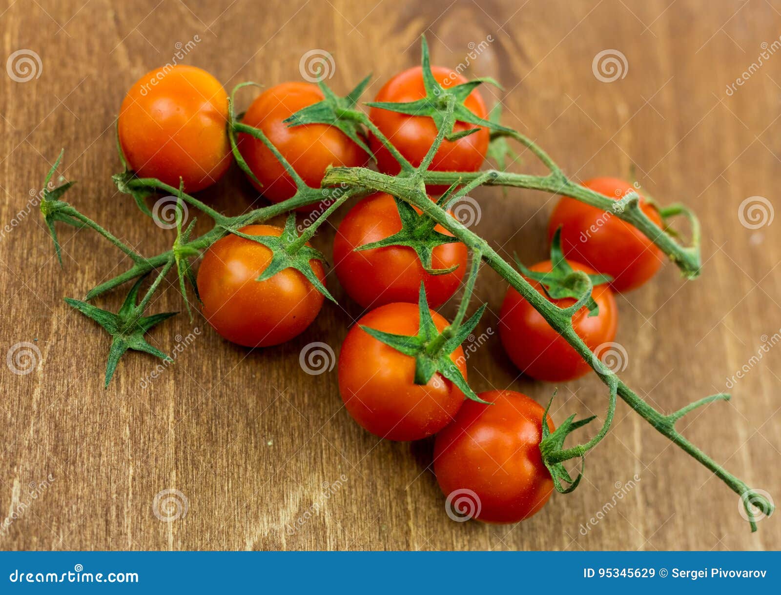 Small Tomatoes on a Branch Against a Dark Board Stock Image - Image of ...