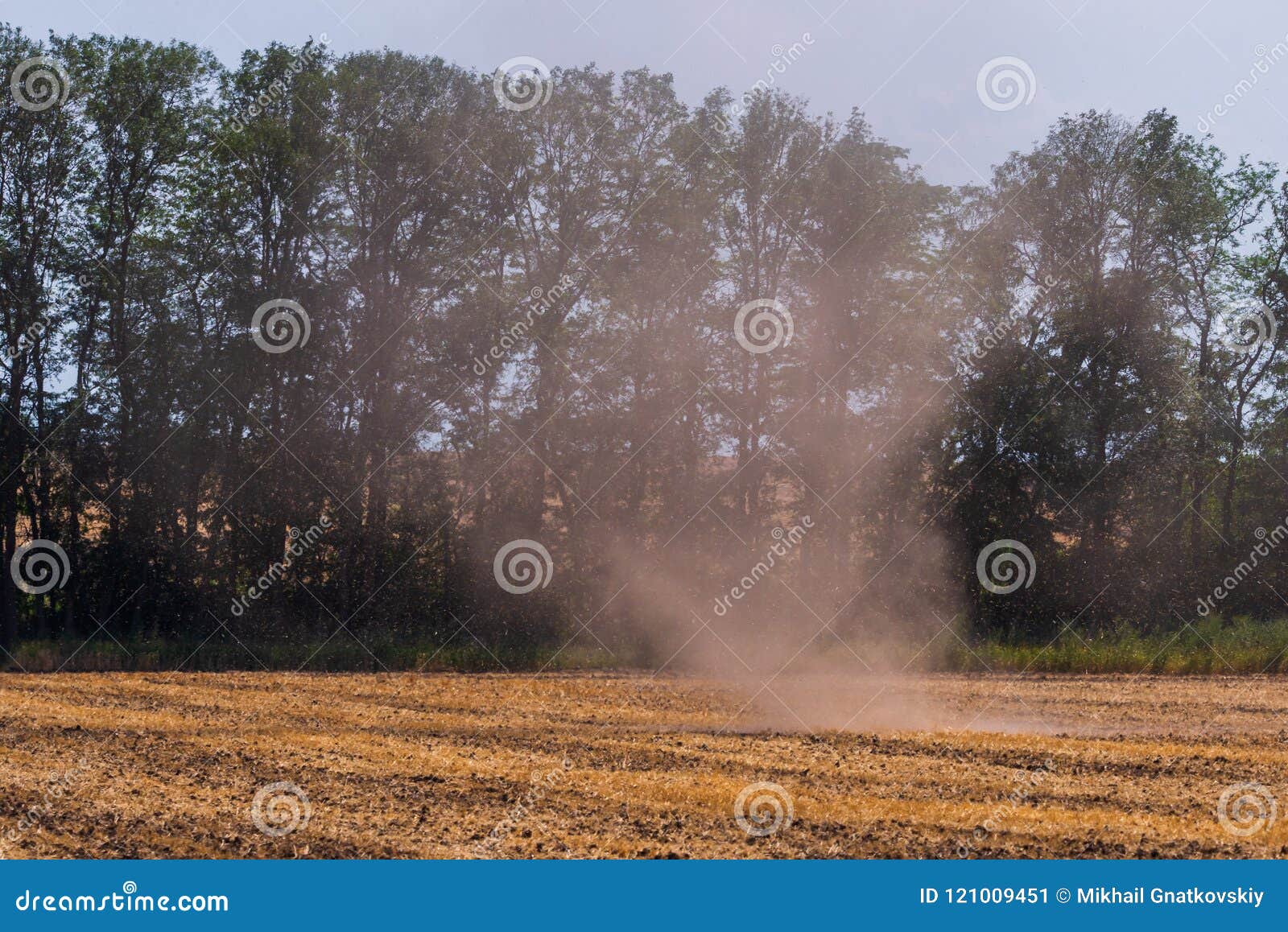 Small Tornado or Whirlwind with Dust in a Field Stock Image - Image of ...