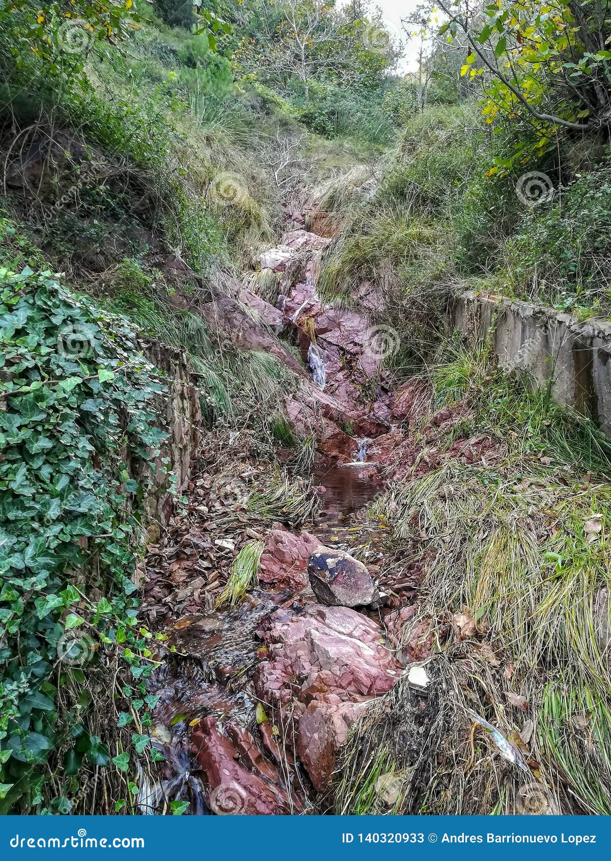 Small Torrent of Water Flowing Stock Image - Image of colorful ...