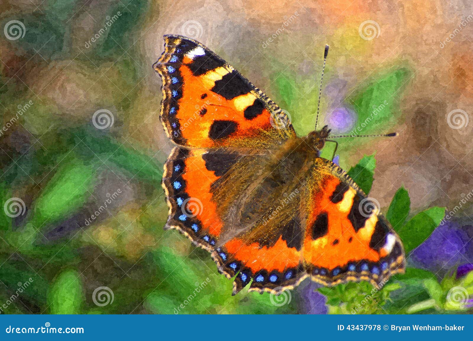 Small Tortoiseshell Butterfly Stock Illustration - Illustration of ...