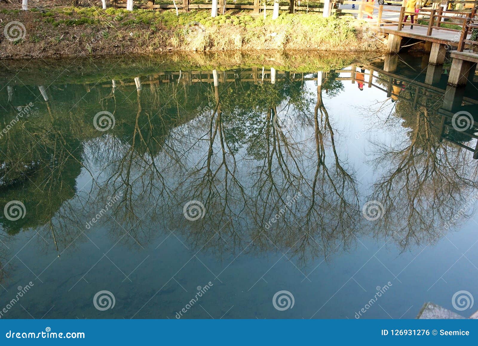 The Shadow of the Tree is in the River. Stock Photo - Image of ...