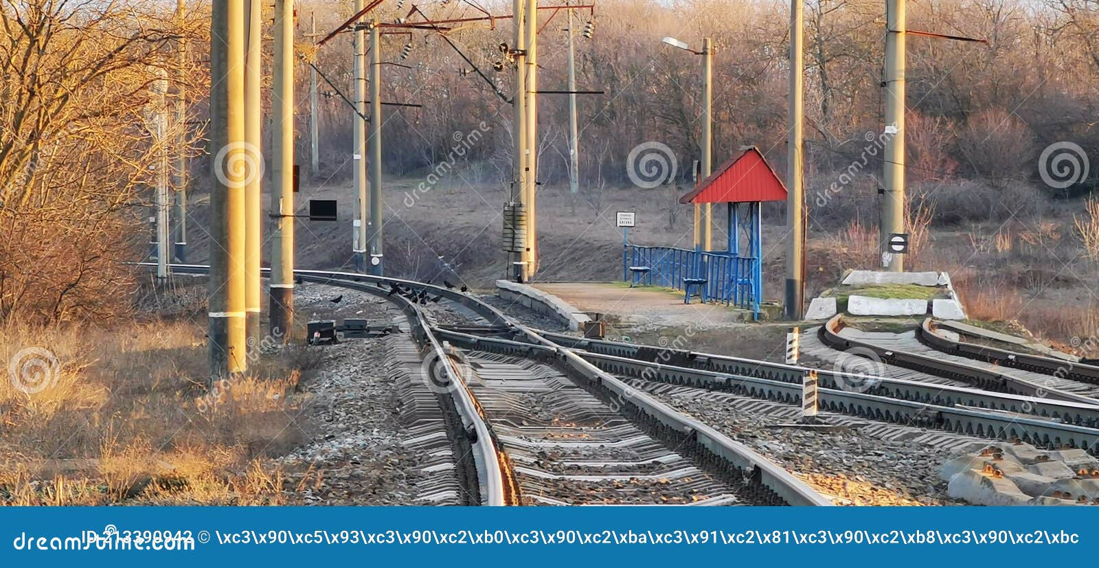 A small train station stock photo. Image of forest, stop - 213390942