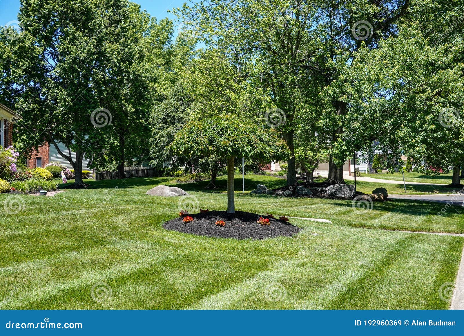 Small Tree in Bed of Flowers and Mulch on a Beautiful Grass Lawn in ...