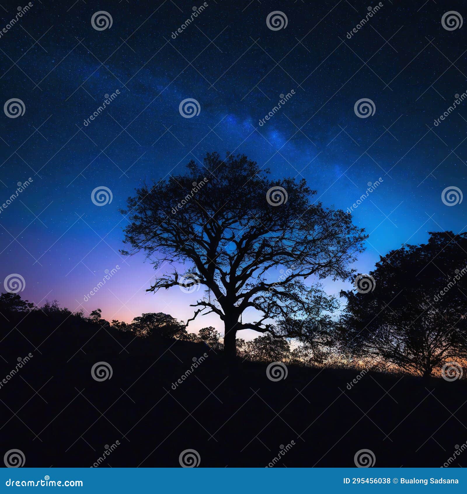 Small Tree Glows at Night Under a Big Stock Illustration - Illustration ...