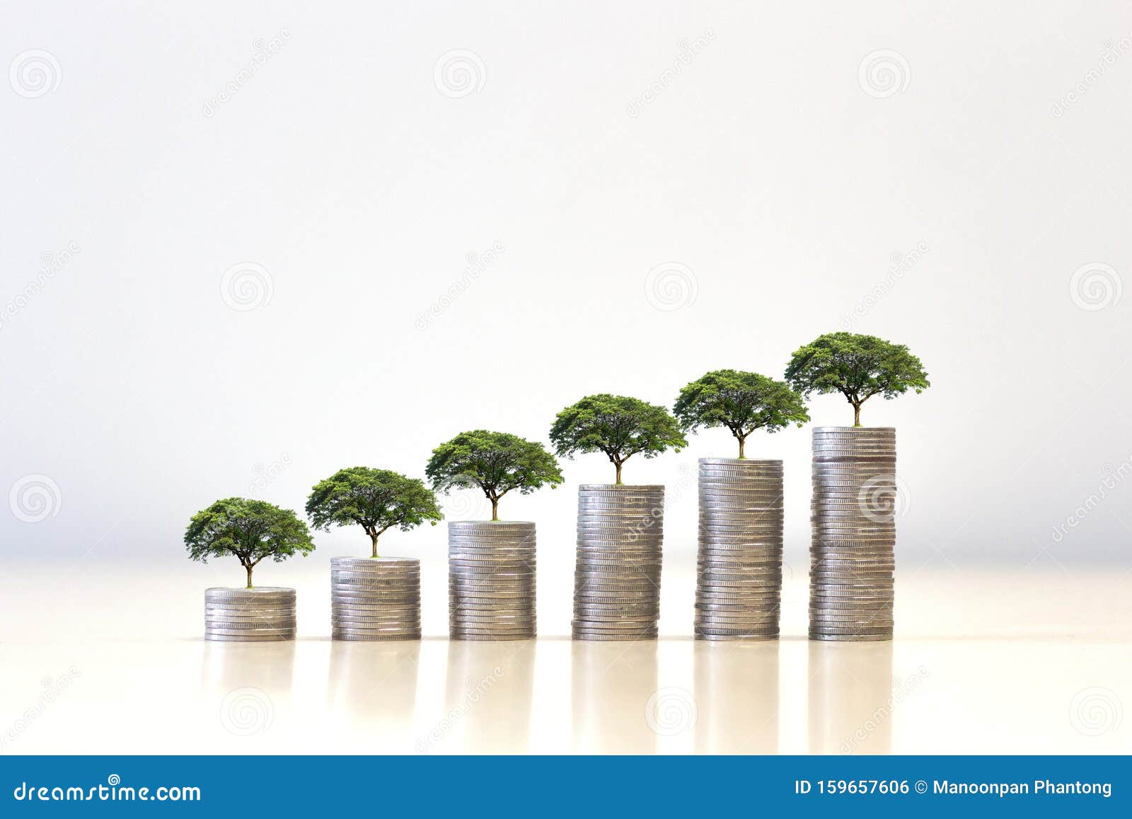Small Tree Growing on Money Coin Stack .Saving Money Concept Stock ...