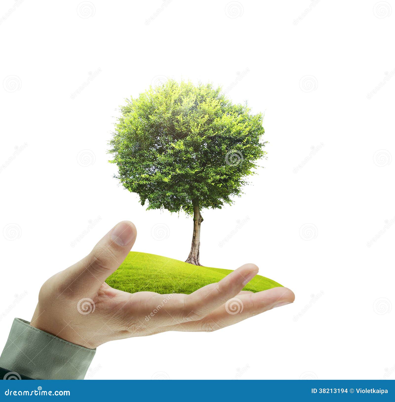 Small tree in a hand stock photo. Image of care, life - 38213194