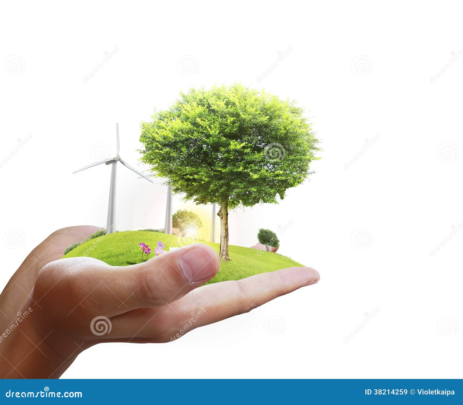 Small tree in a hand stock image. Image of bonsai, green - 38214259
