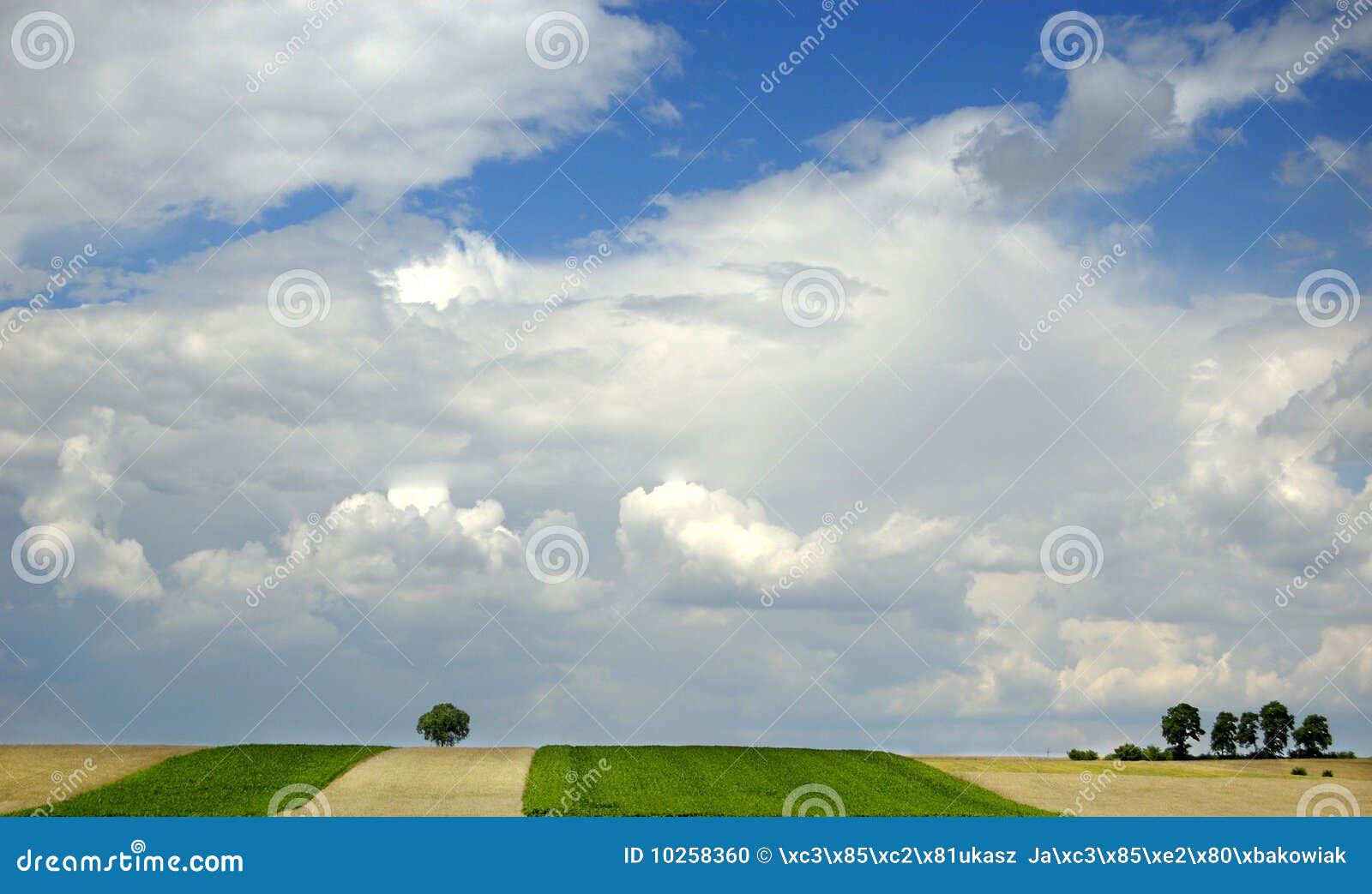 Small Tree on the Horizon in Rural Landscape Stock Photo - Image of ...