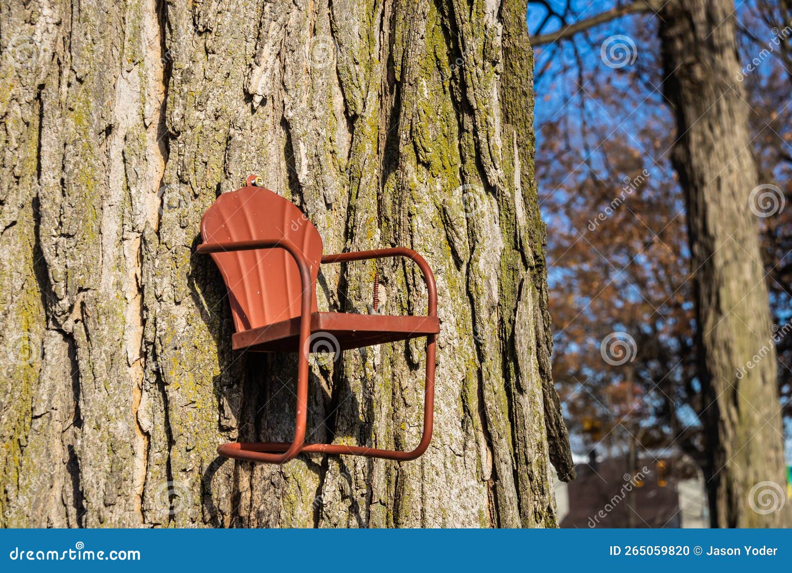 A Small Tree Ornament of a Chair on the Side of a Tree Stock Photo ...