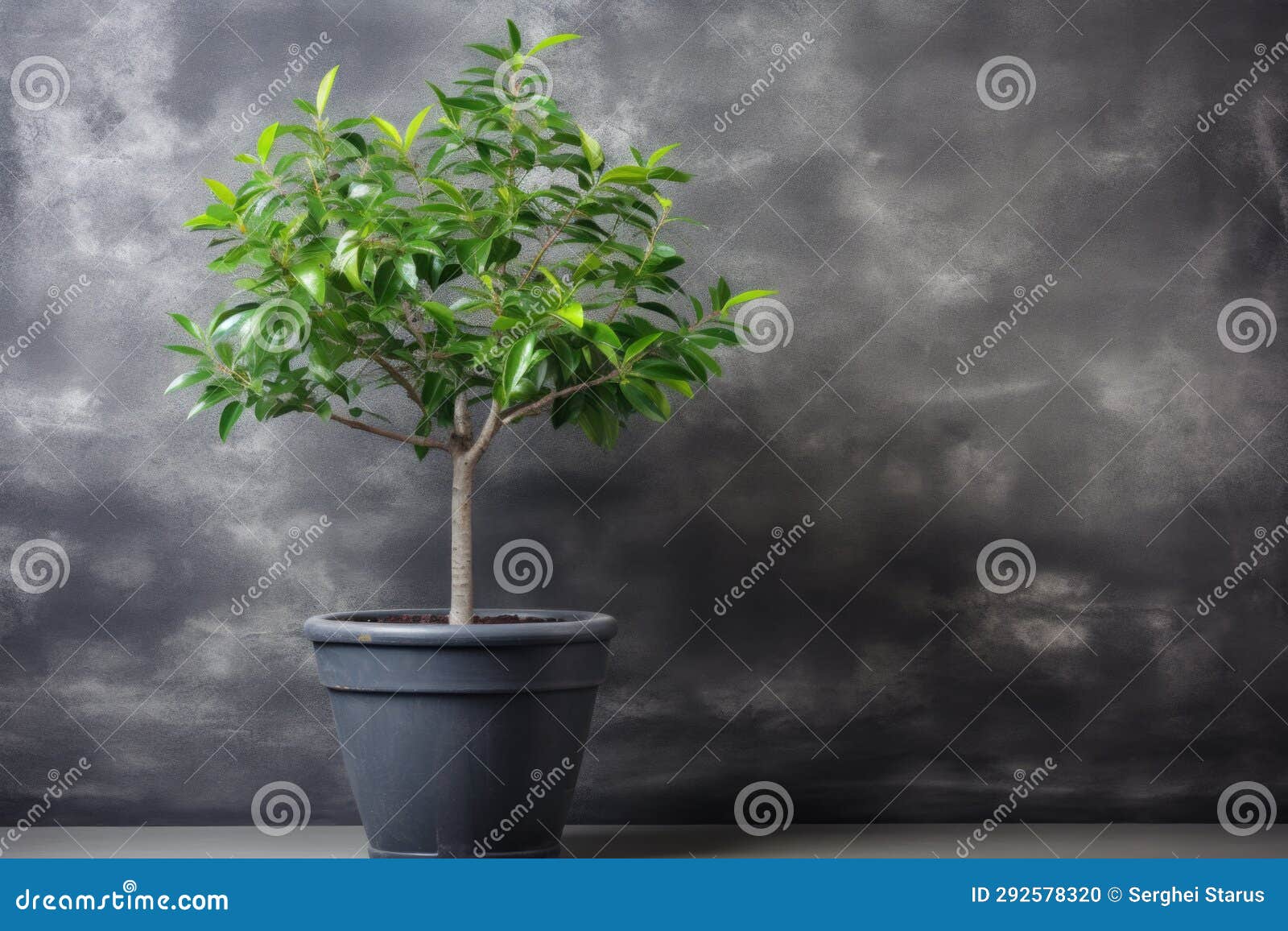 A Small Tree in a Pot on a Table, AI Stock Photo - Image of branch ...