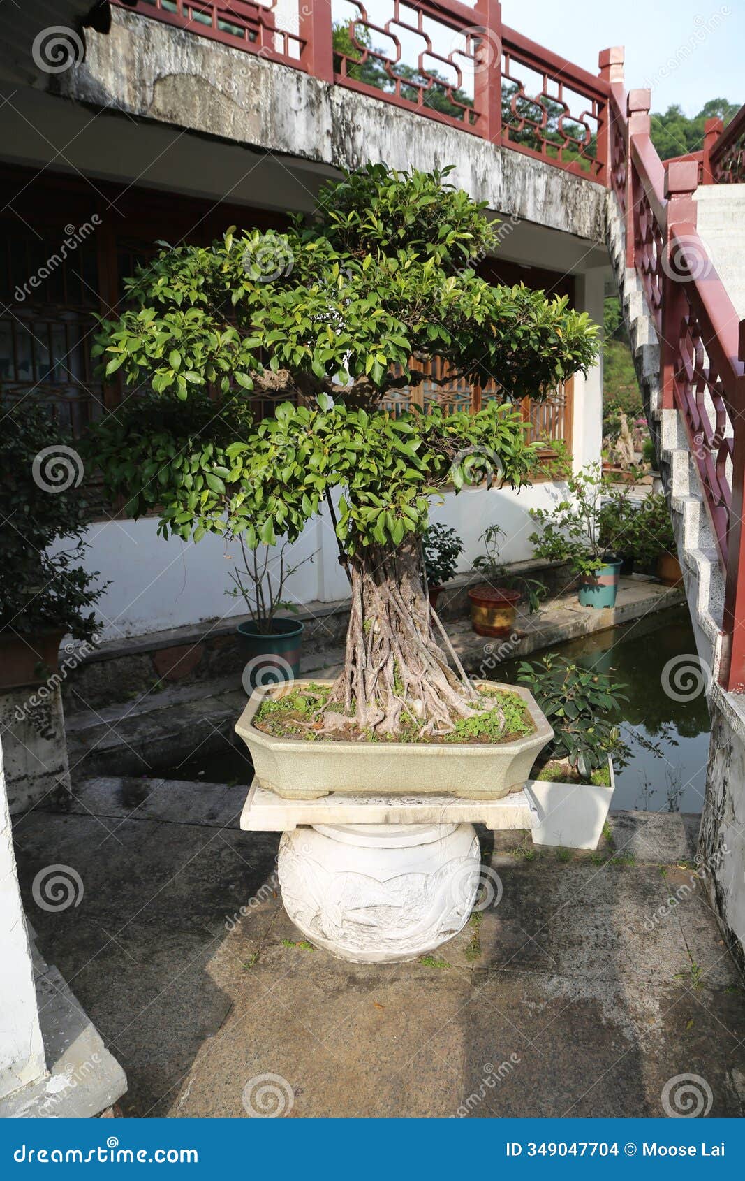 A Small Tree is Sitting on a White Pedestal in Front of a White House ...
