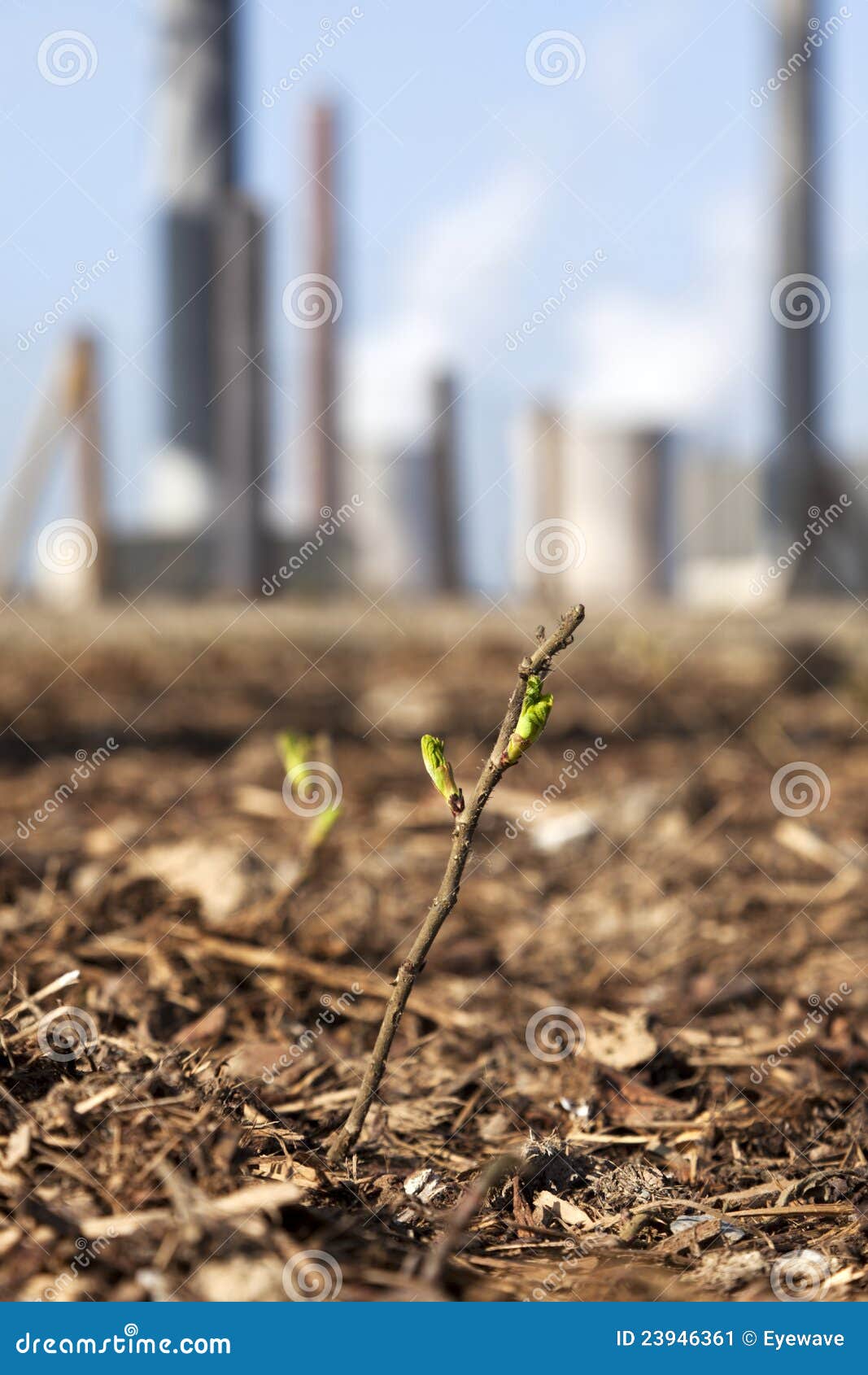 Small Tree Sprout stock image. Image of industry, factory - 23946361