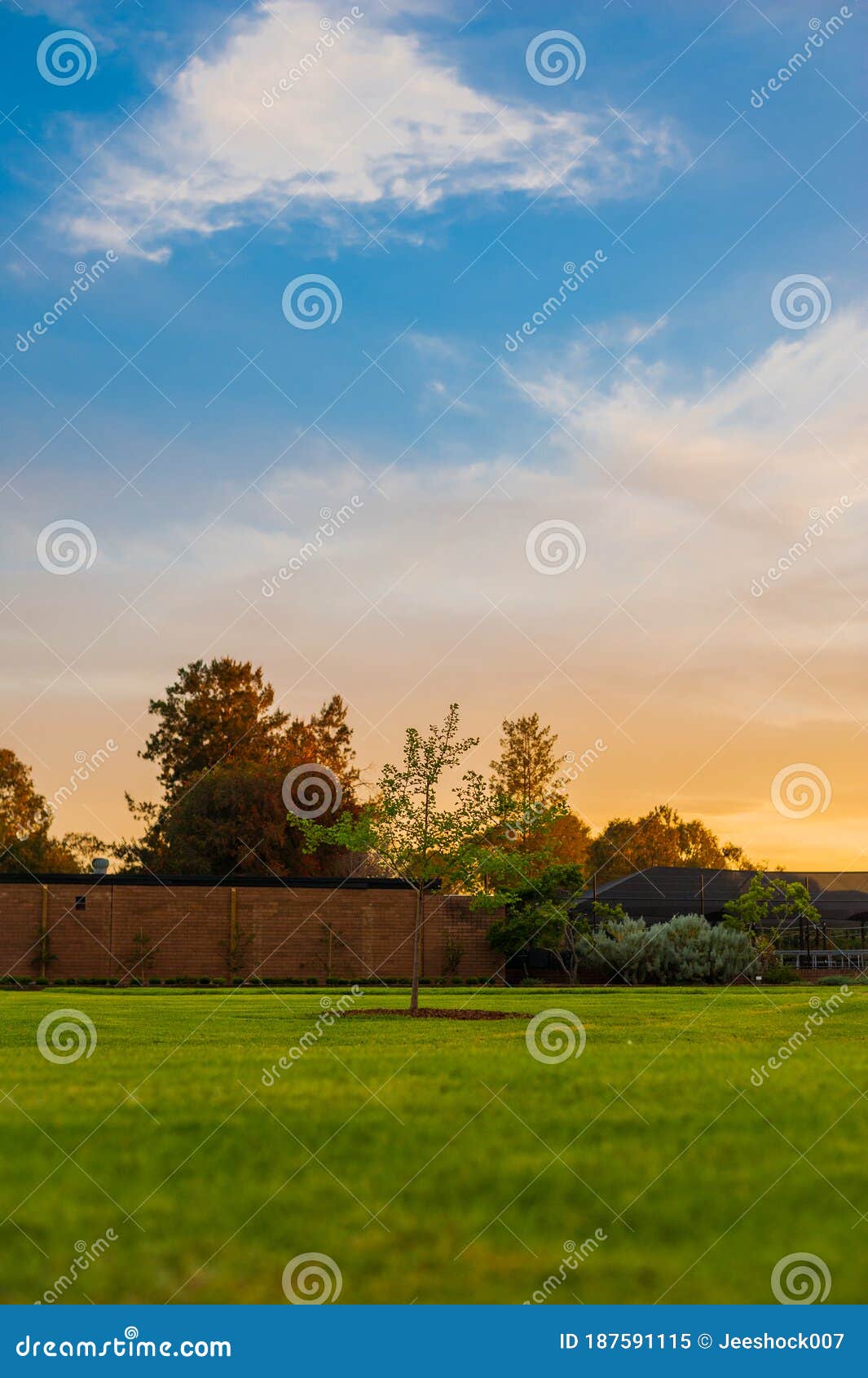 Small Tree with Sunset Nice Sky Stock Image - Image of tree, small ...