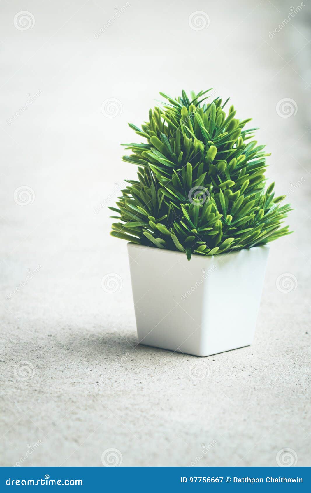 Small Tree on White Pot Vintage Tone, Vertical Stock Image - Image of ...