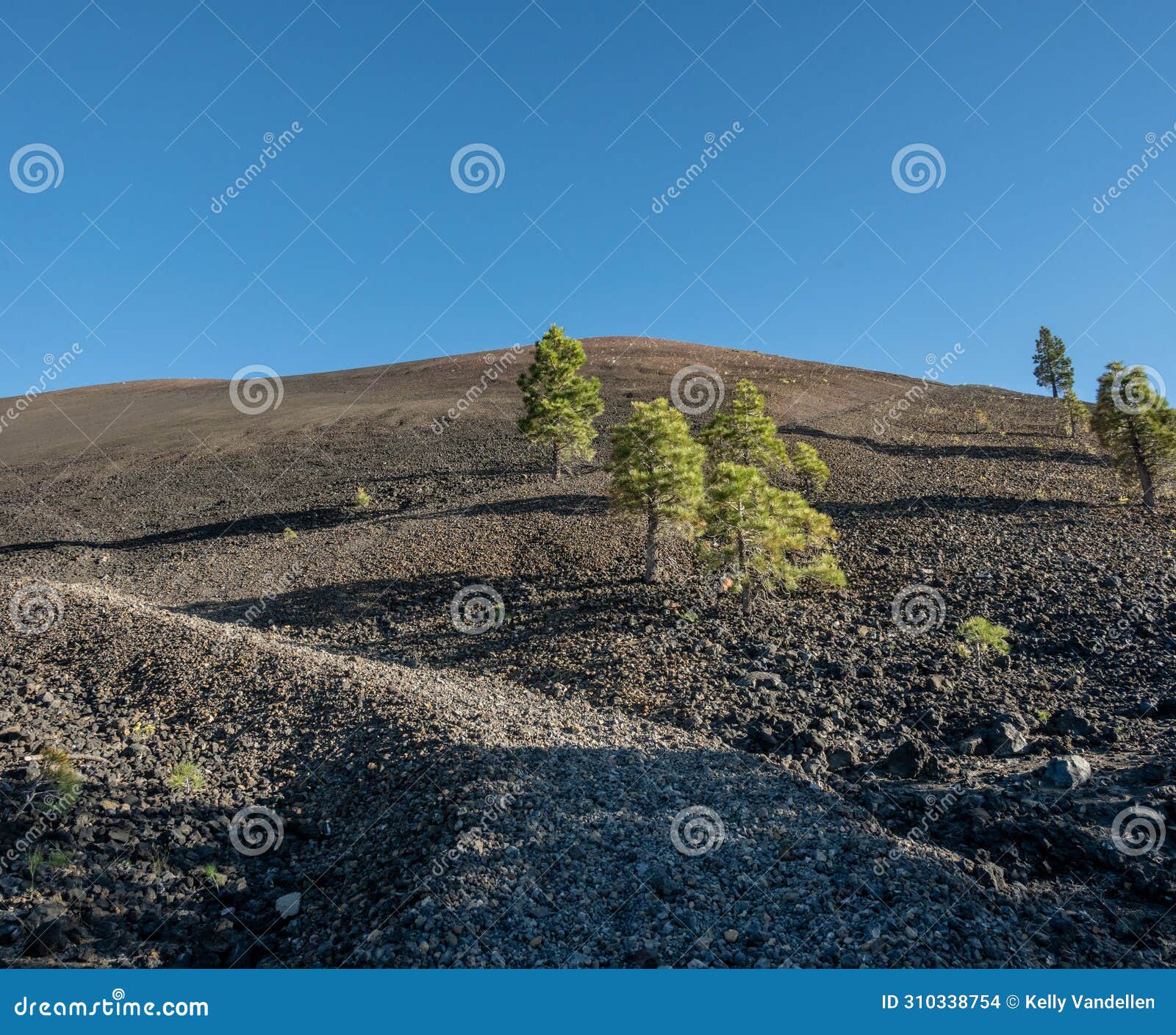 Small Trees Dot the Hillside of Cinder Cone Stock Photo - Image of ...