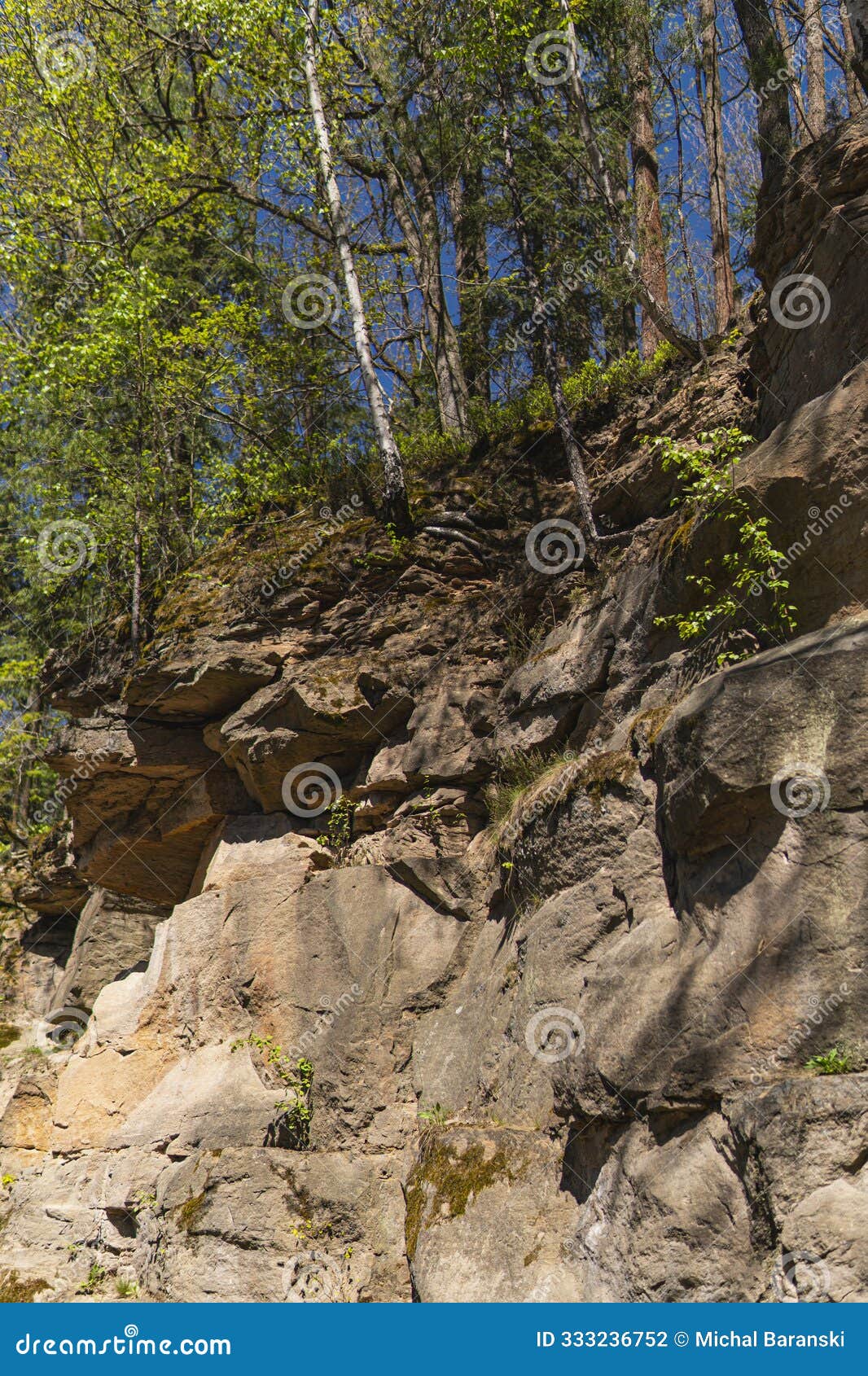 Small Trees Overgrowing the Slope of a Former Quarry Stock Photo ...