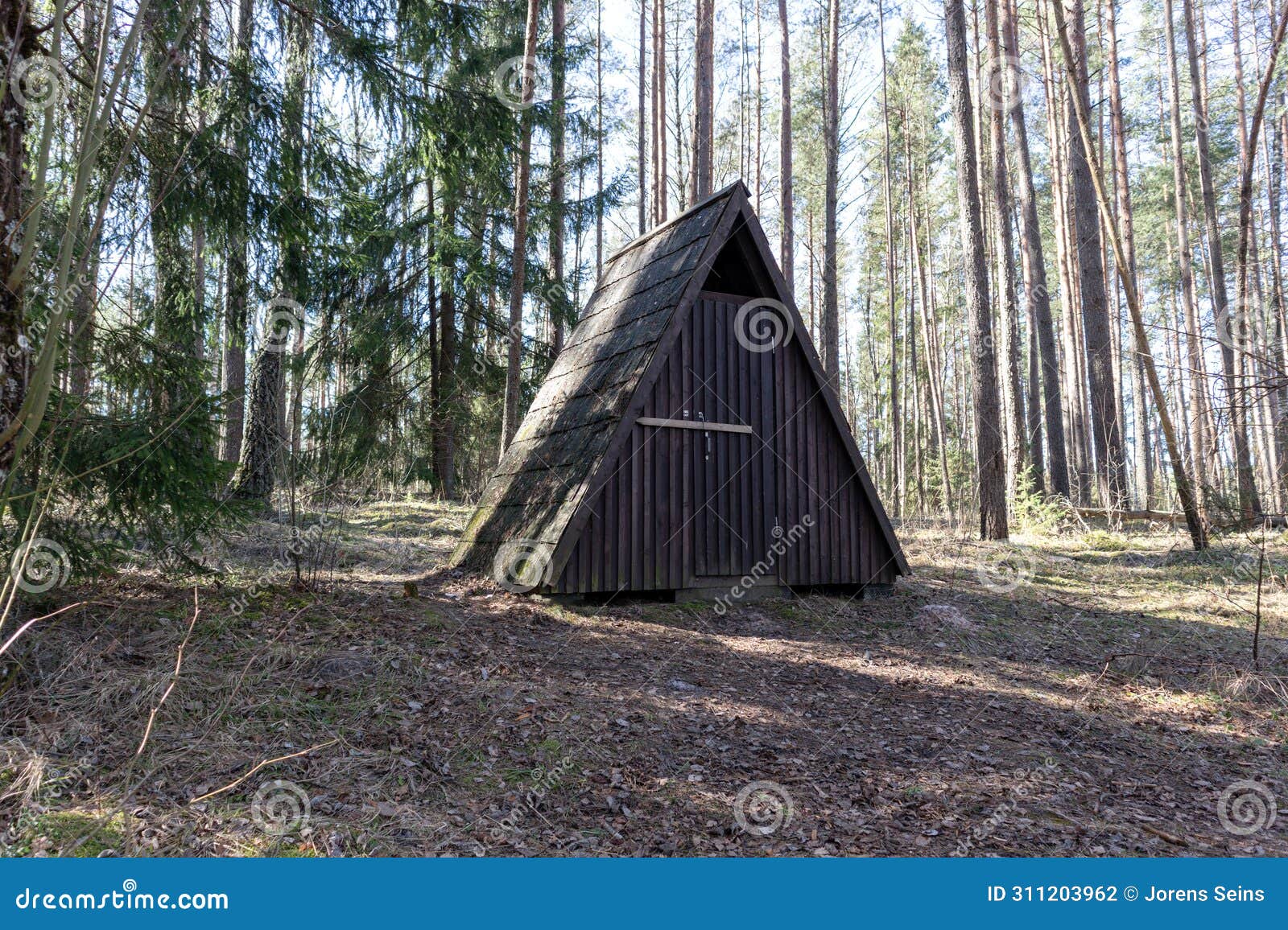 A Small Triangular Wooden House in the Middle of the Forest Stock Photo ...