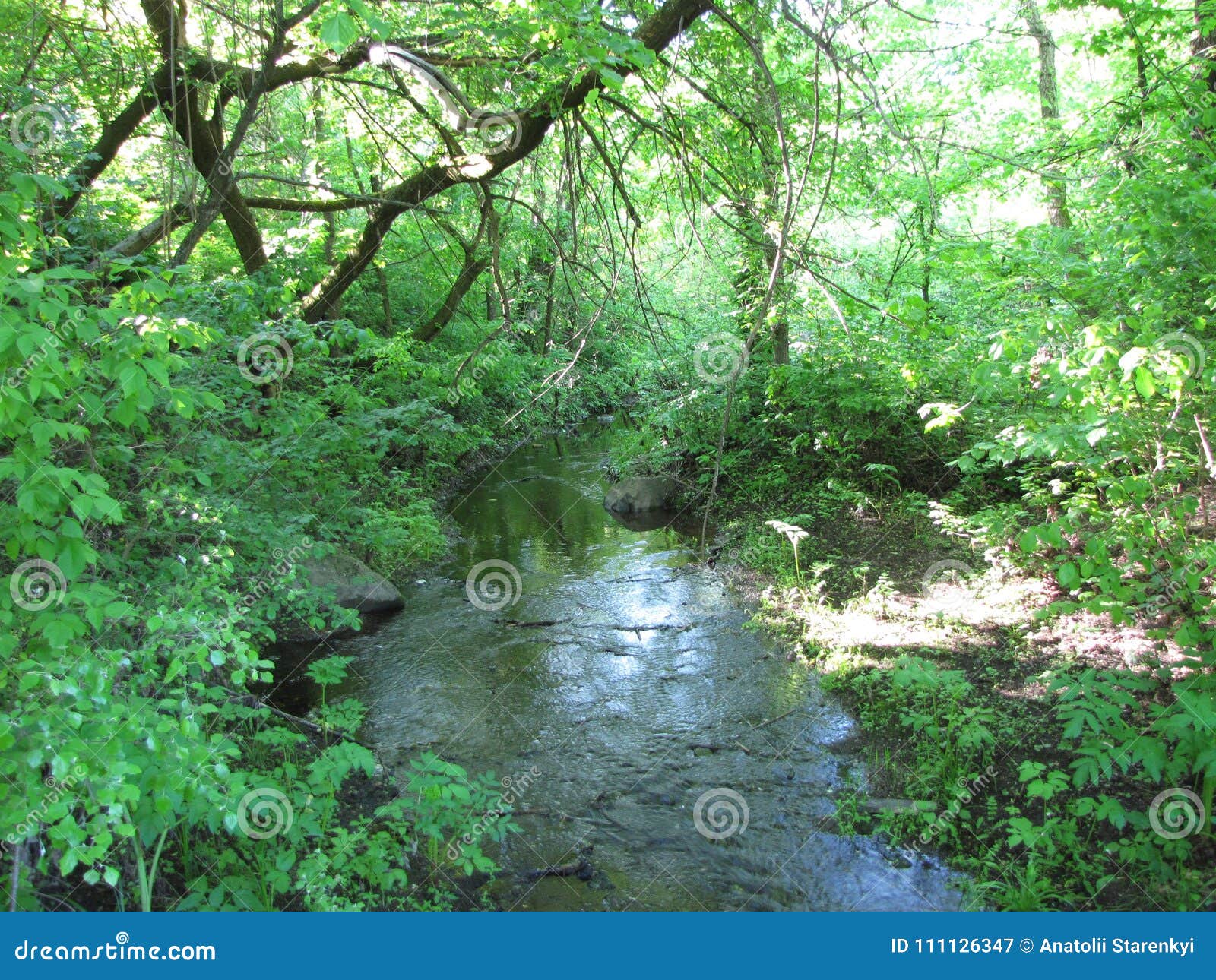 A Small Tributary of the Great River Stock Image - Image of oilpainting ...