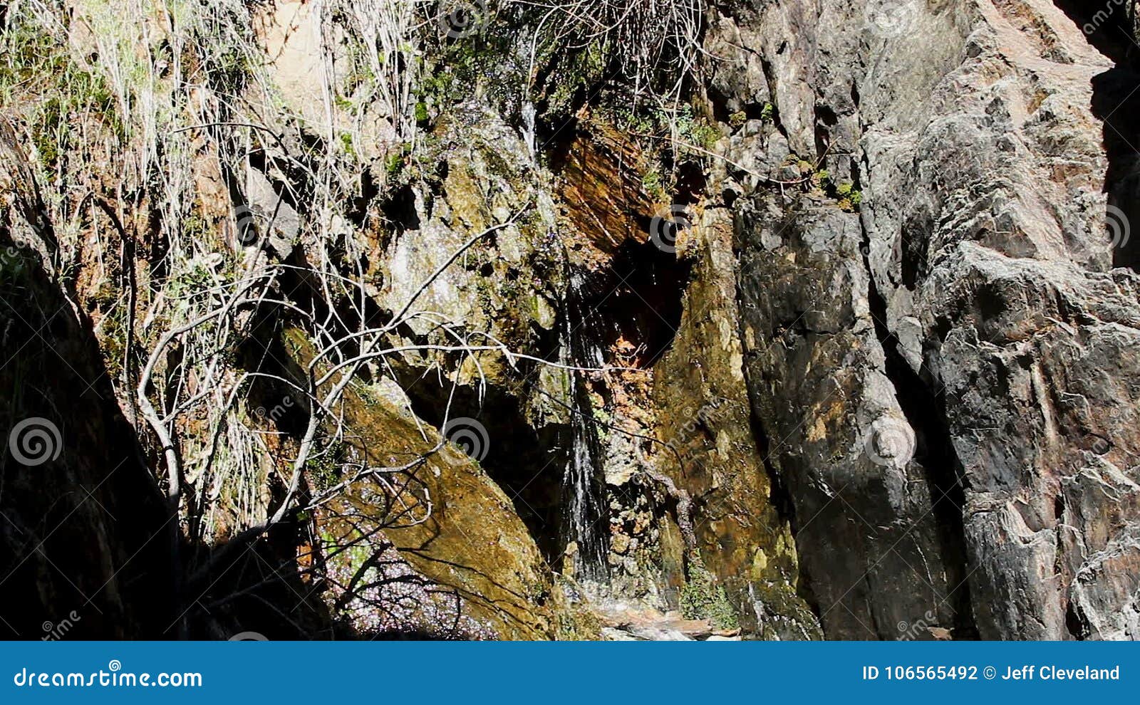Small Trickle of Water Falling Amid Rocks and Plants Stock Footage ...