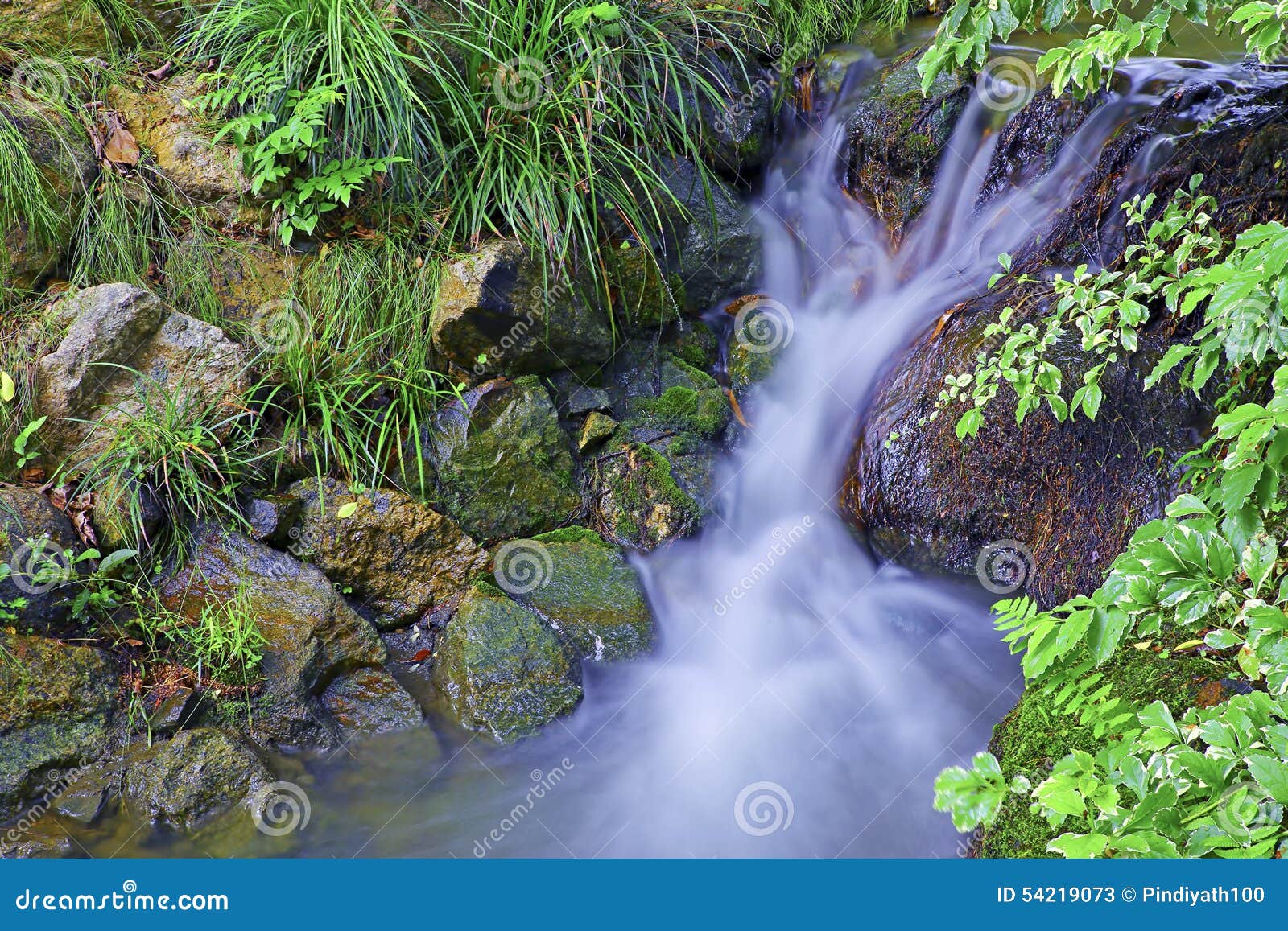 Small Tropical Creek Waterfall Stock Image - Image of natural, tropical ...