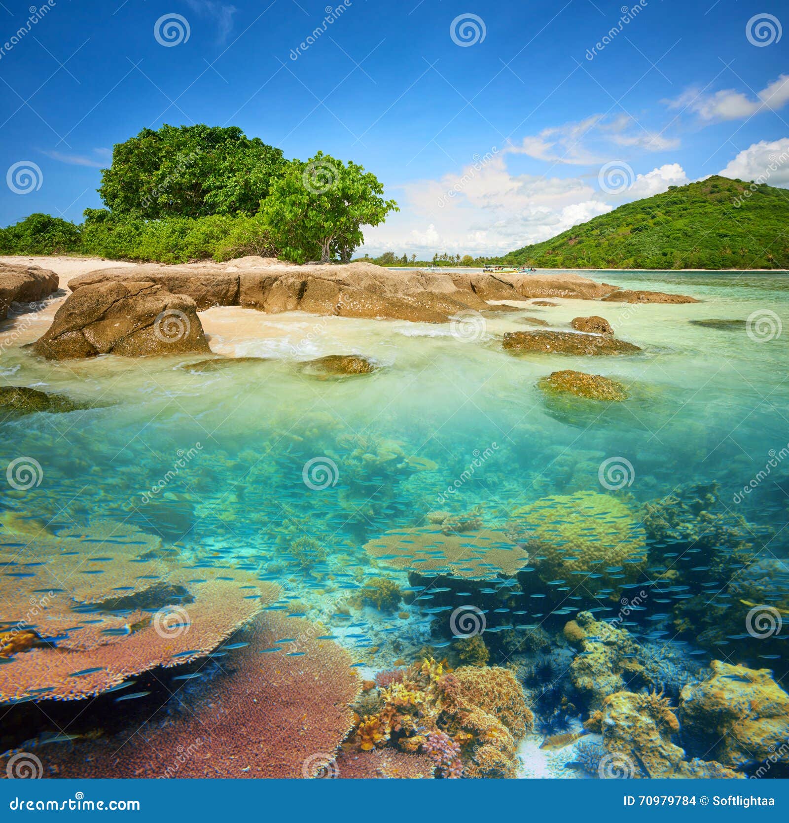 Small Tropical Island with a Coral Reef. Stock Photo - Image of marine ...
