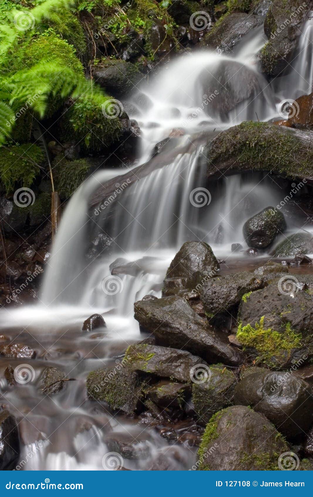 Small tropical waterfall. stock photo. Image of waterfall - 127108