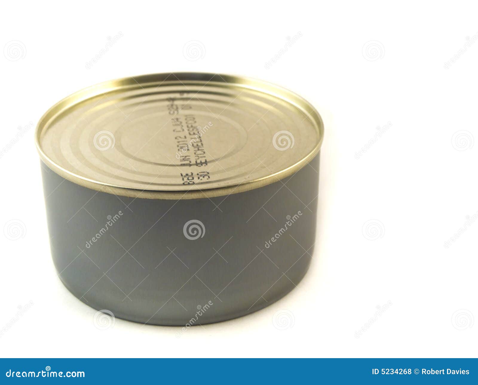 Small Tuna Tin Can on White Background Stock Photo - Image of nutrition ...