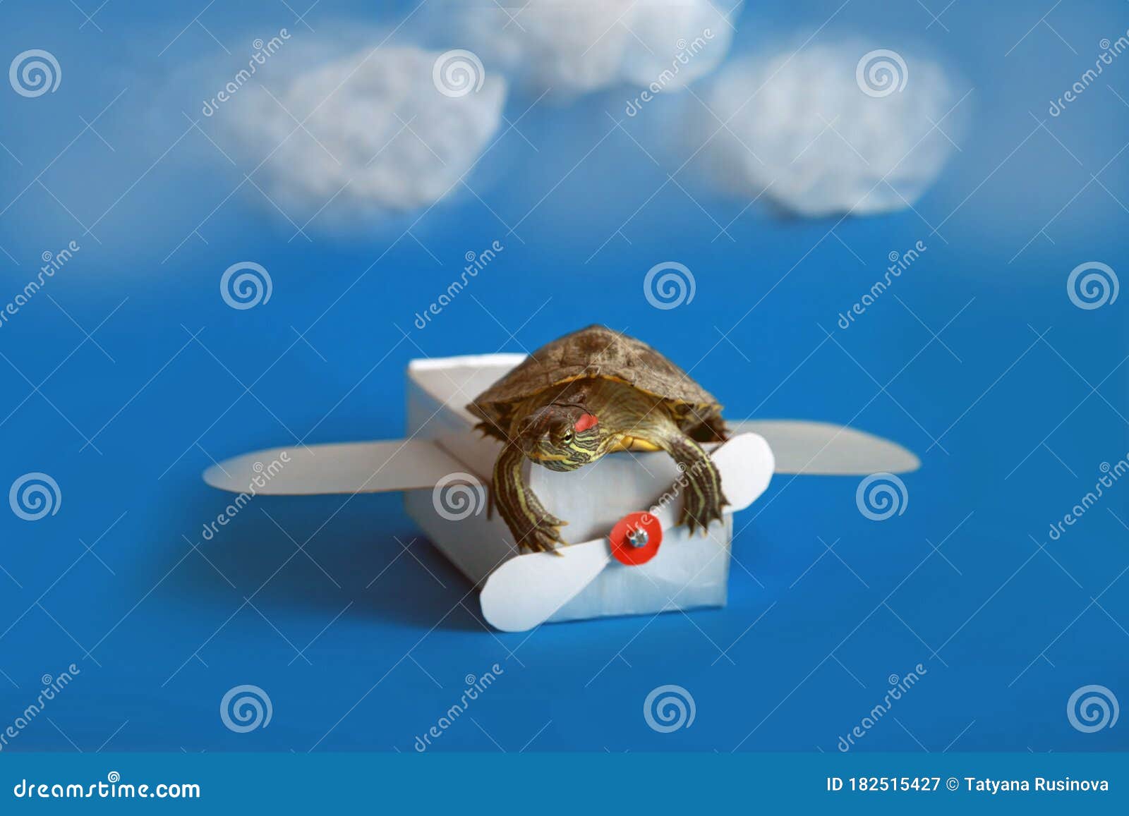 A Small Turtle Flies on a Paper Plane Stock Image - Image of cute ...