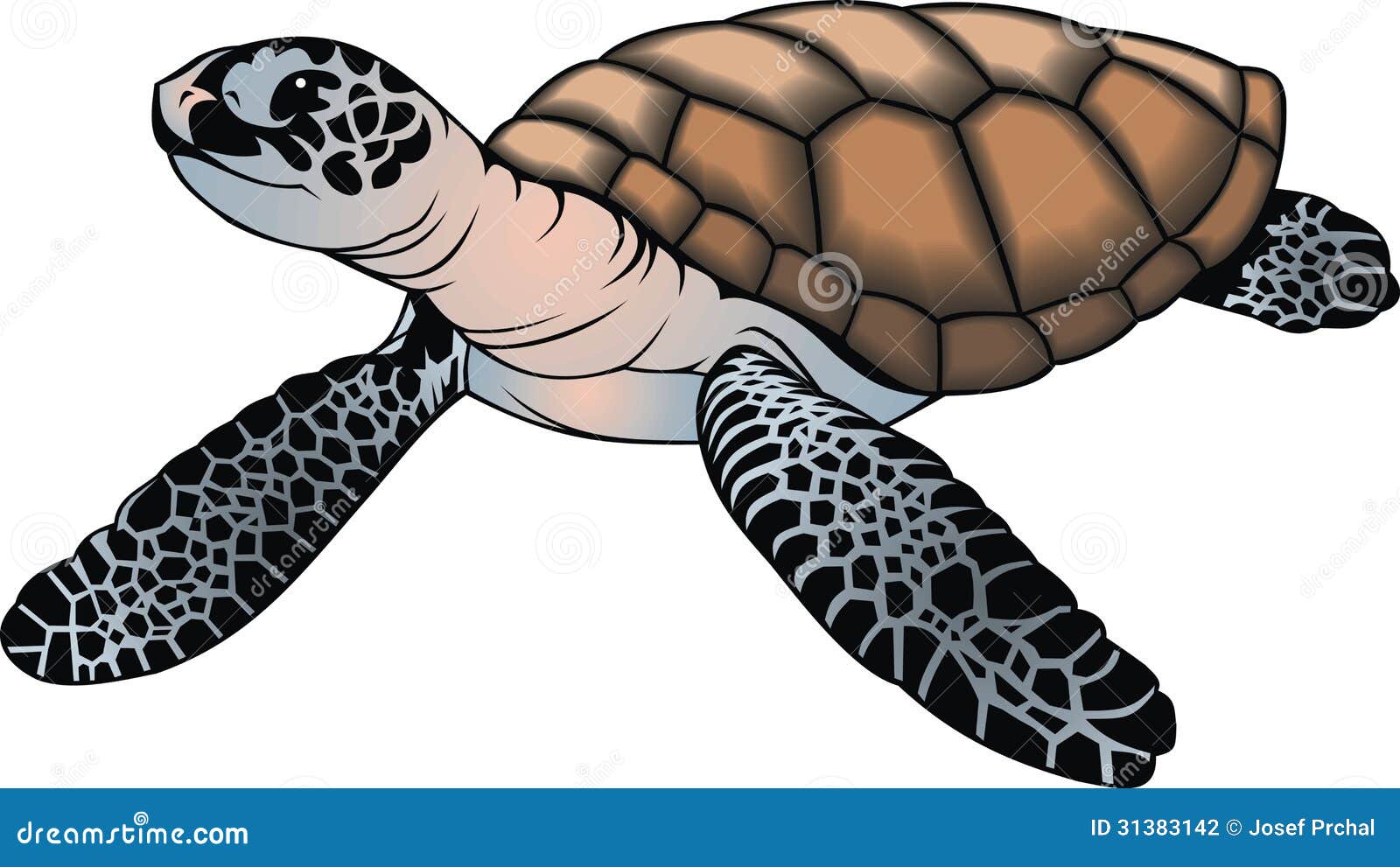 Small Turtle Stock Illustrations – 1,260 Small Turtle Stock ...