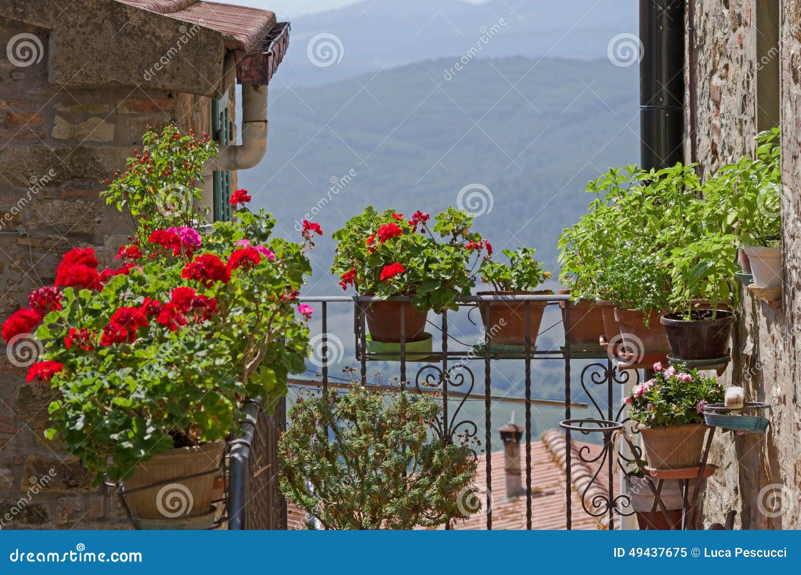 Small Tuscan Balcony with Blooming Geraniums Stock Image - Image of ...