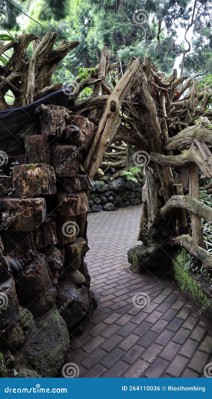 Interesting Wood Texture With Holes Royalty-Free Stock Image ...