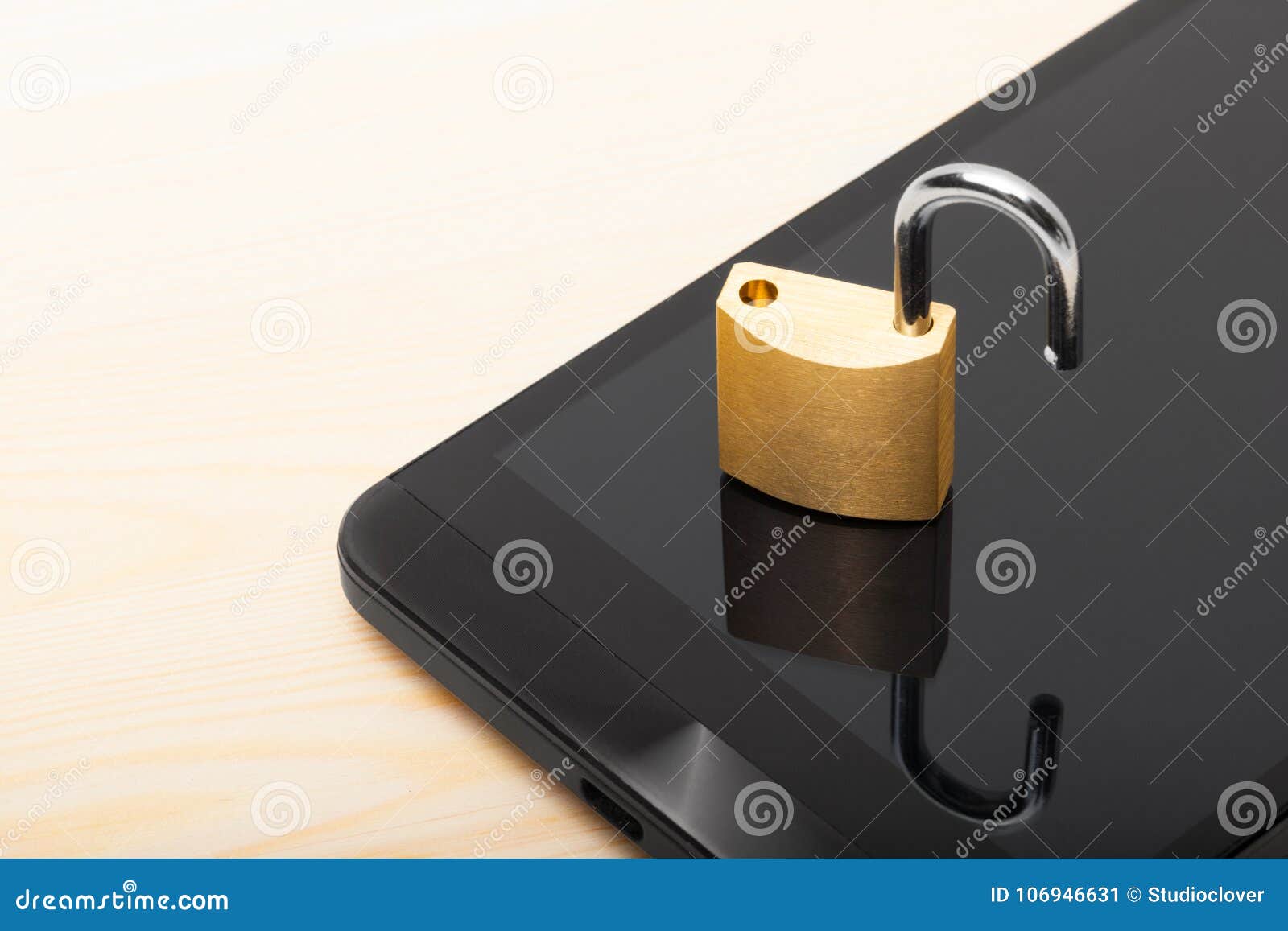 Mobile Phone Security and and Data Protection Concept - a Small ...