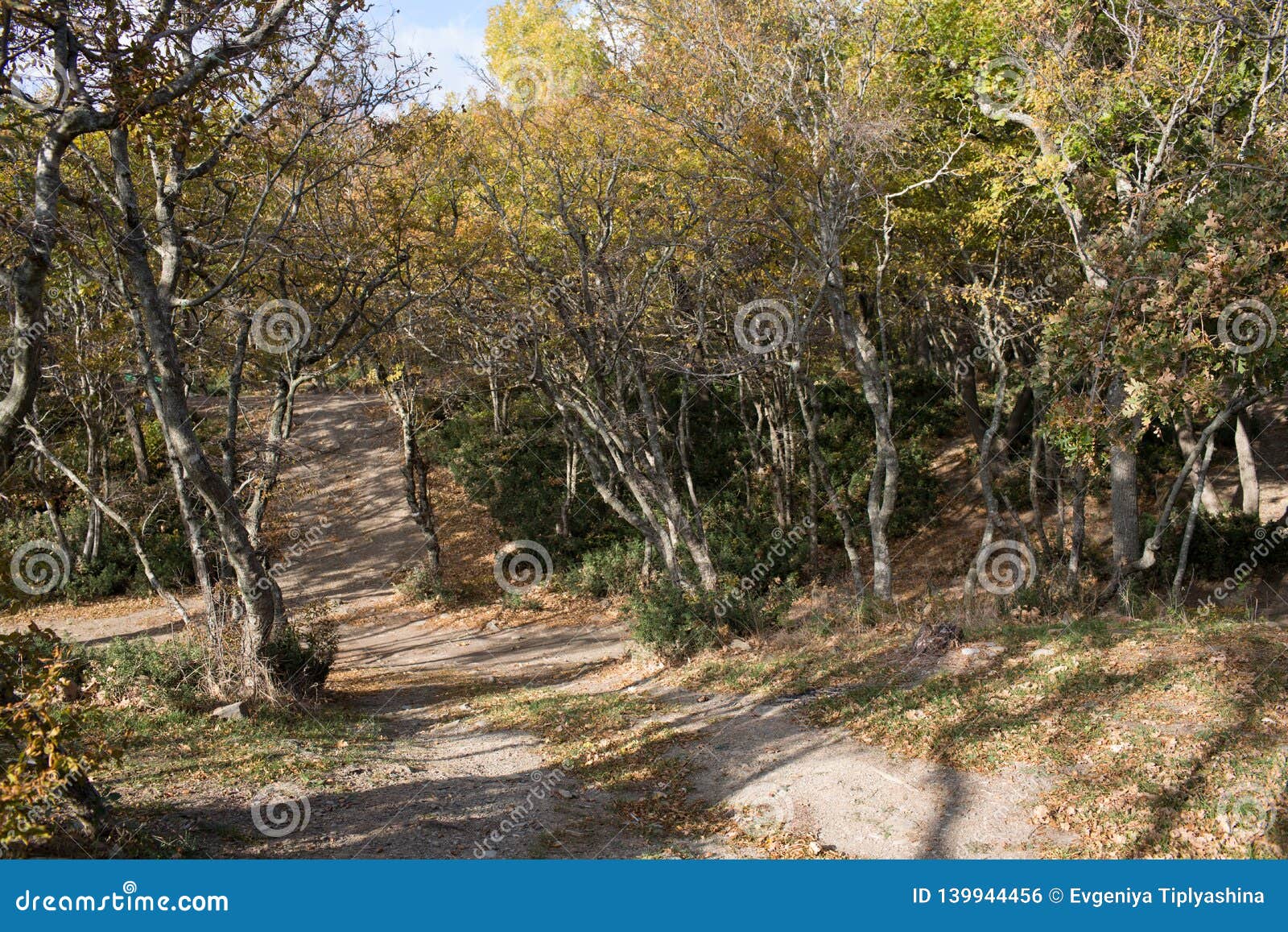 Small Utrish, Caucasus, Russia Stock Photo - Image of tourism ...