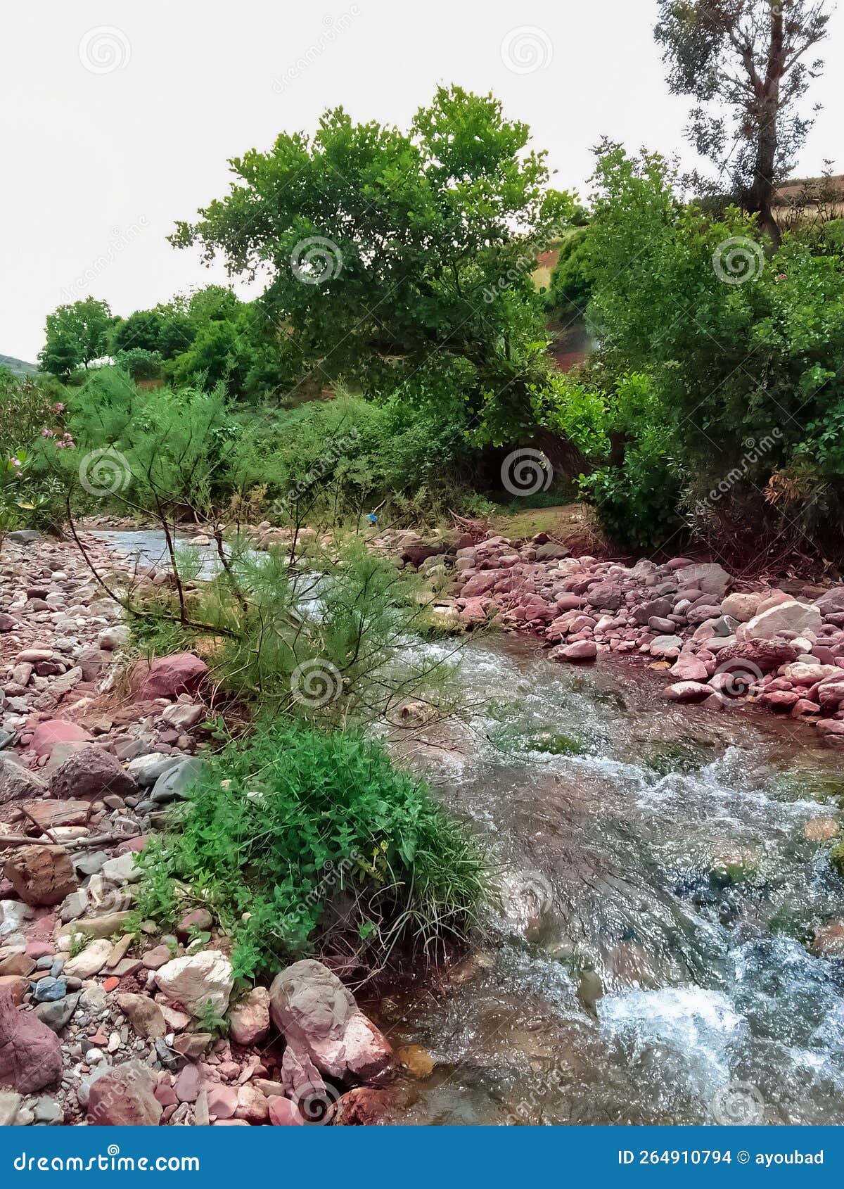 A Small Valley in Which a Water Stream Flows Down Stock Photo - Image ...