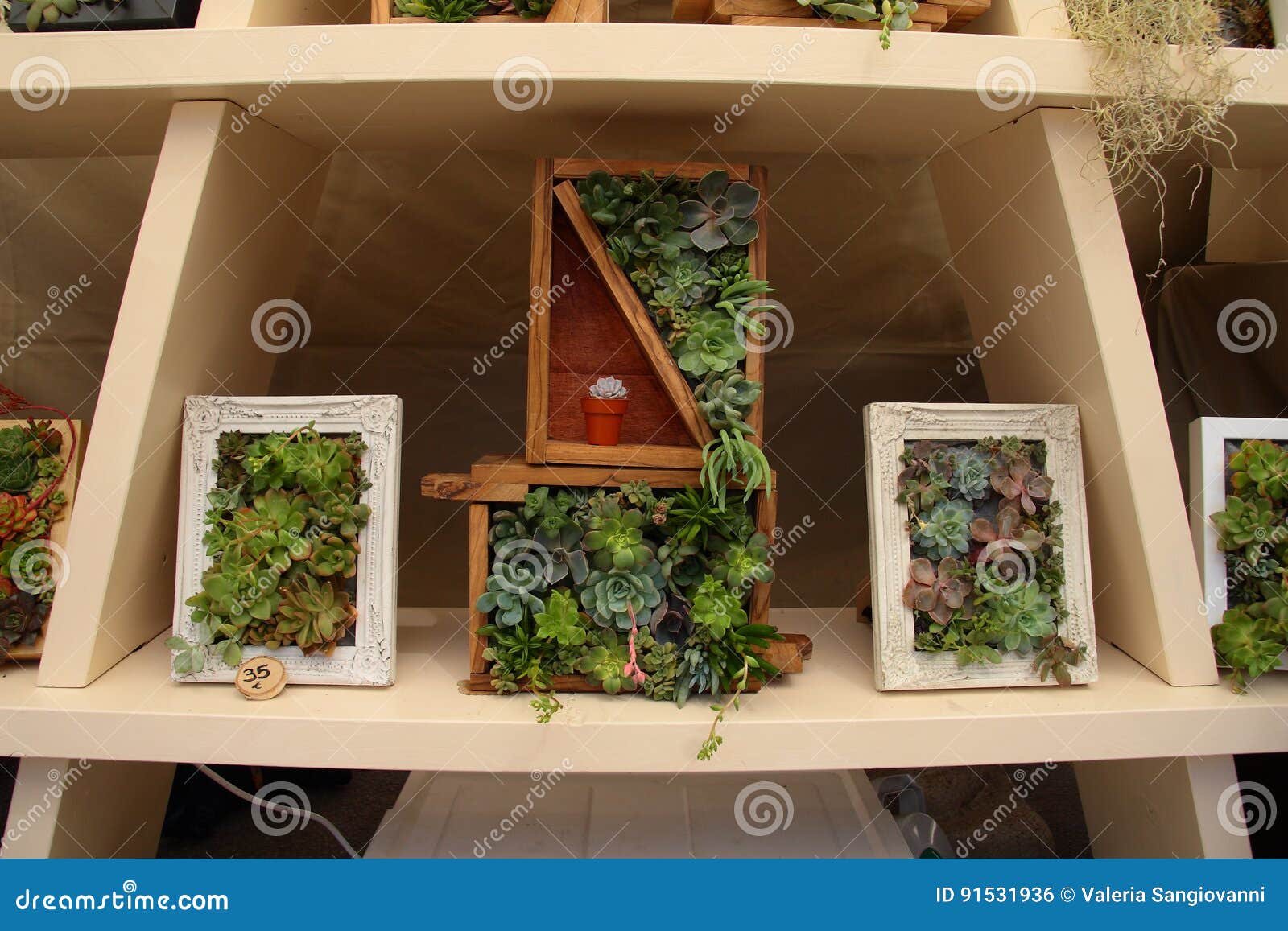 Small vertical gardens, stock photo. Image of fantasy - 91531936