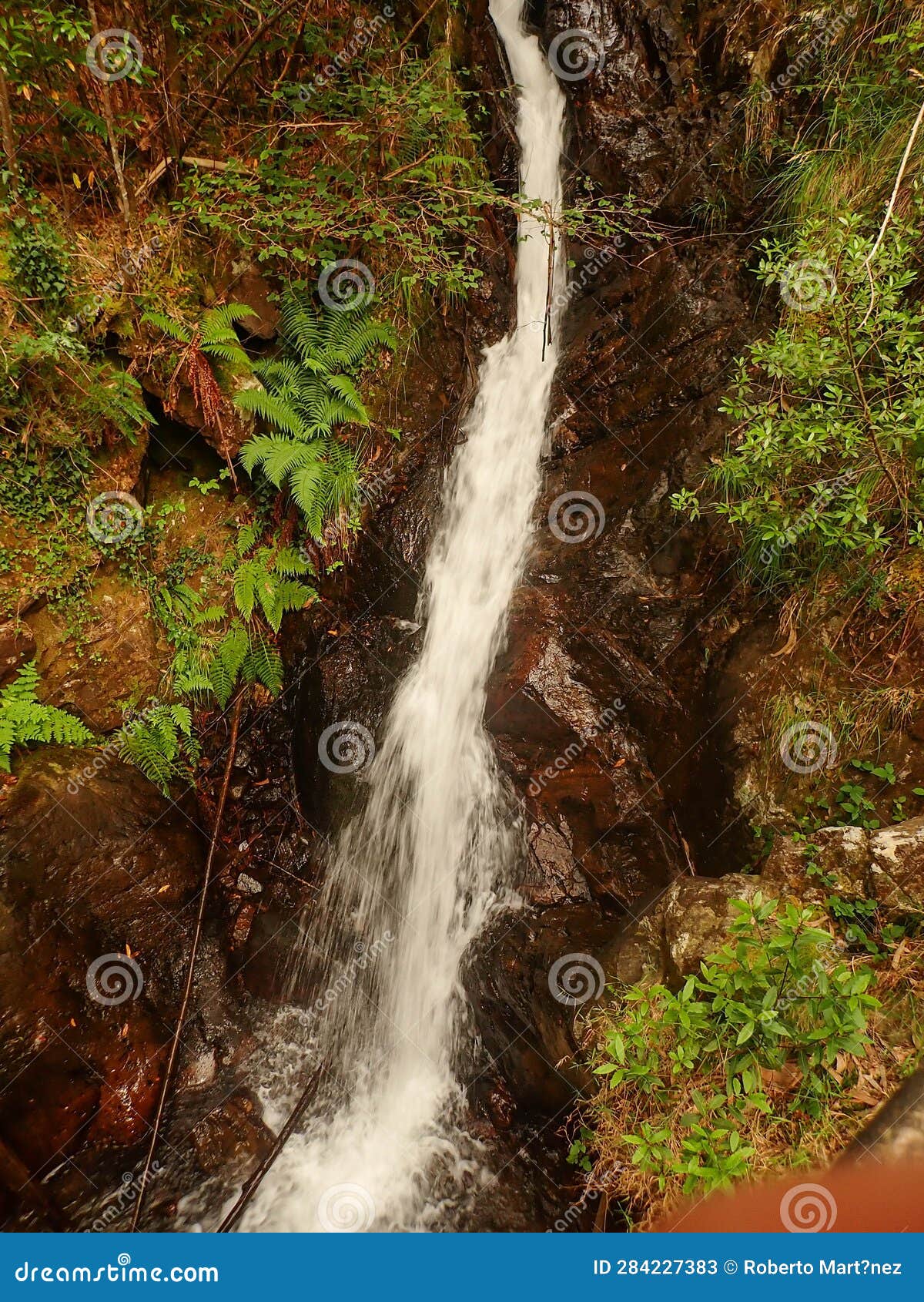 A Small Vertical Water Drop between Brown Stones Stock Image - Image of ...