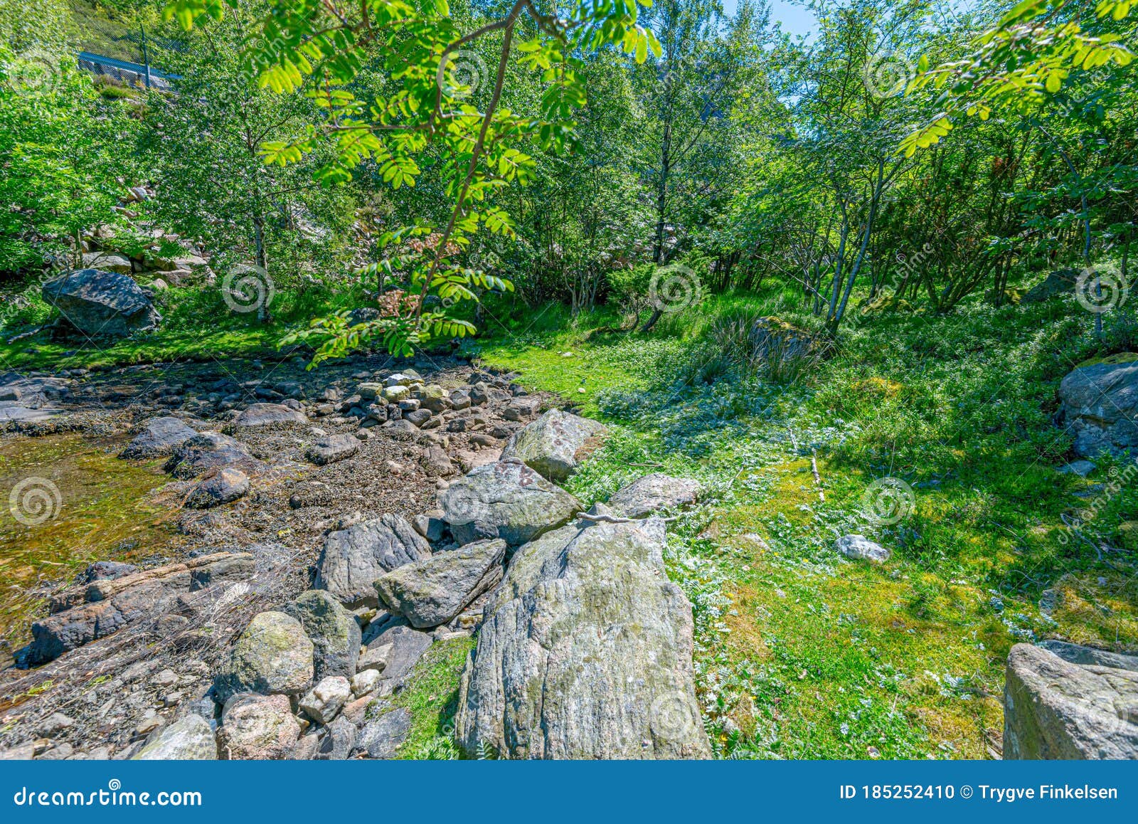 Small and Very Shallow Bay at Summer Stock Photo - Image of natural ...