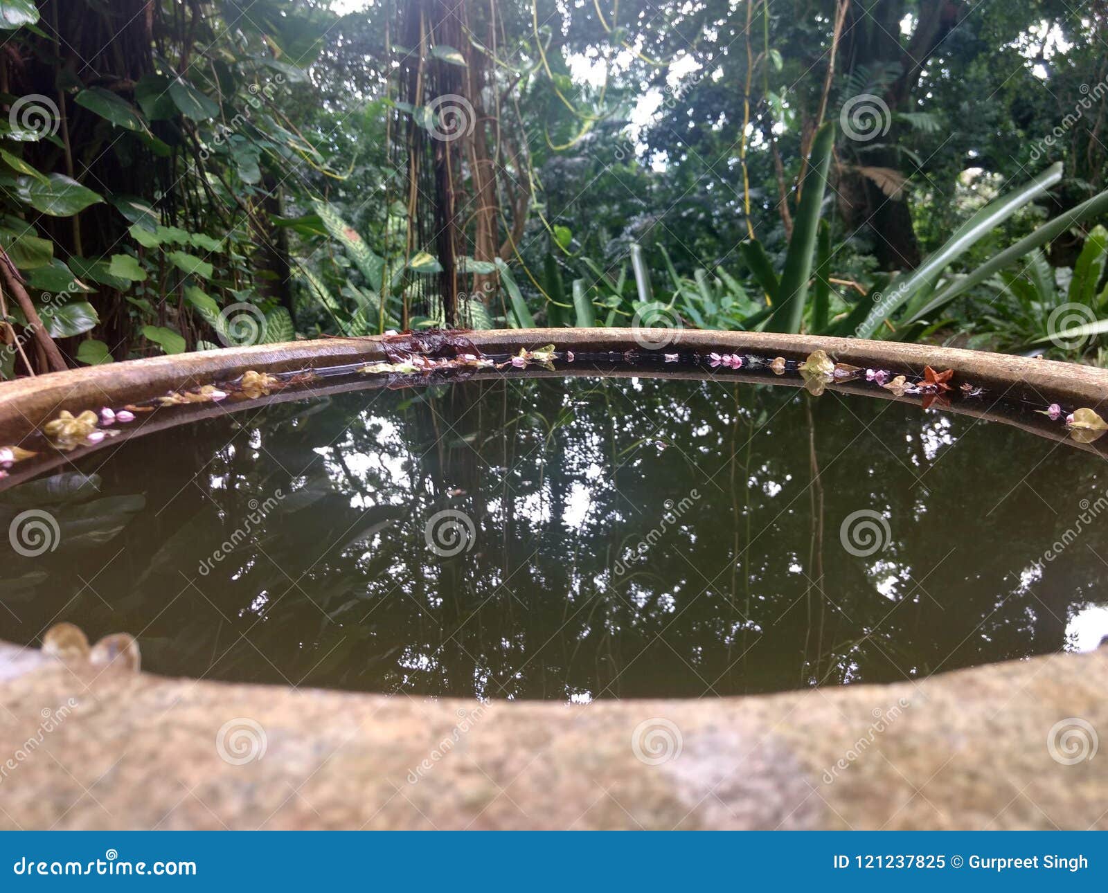 Natural Picture stock image. Image of small, full, vessel - 121237825