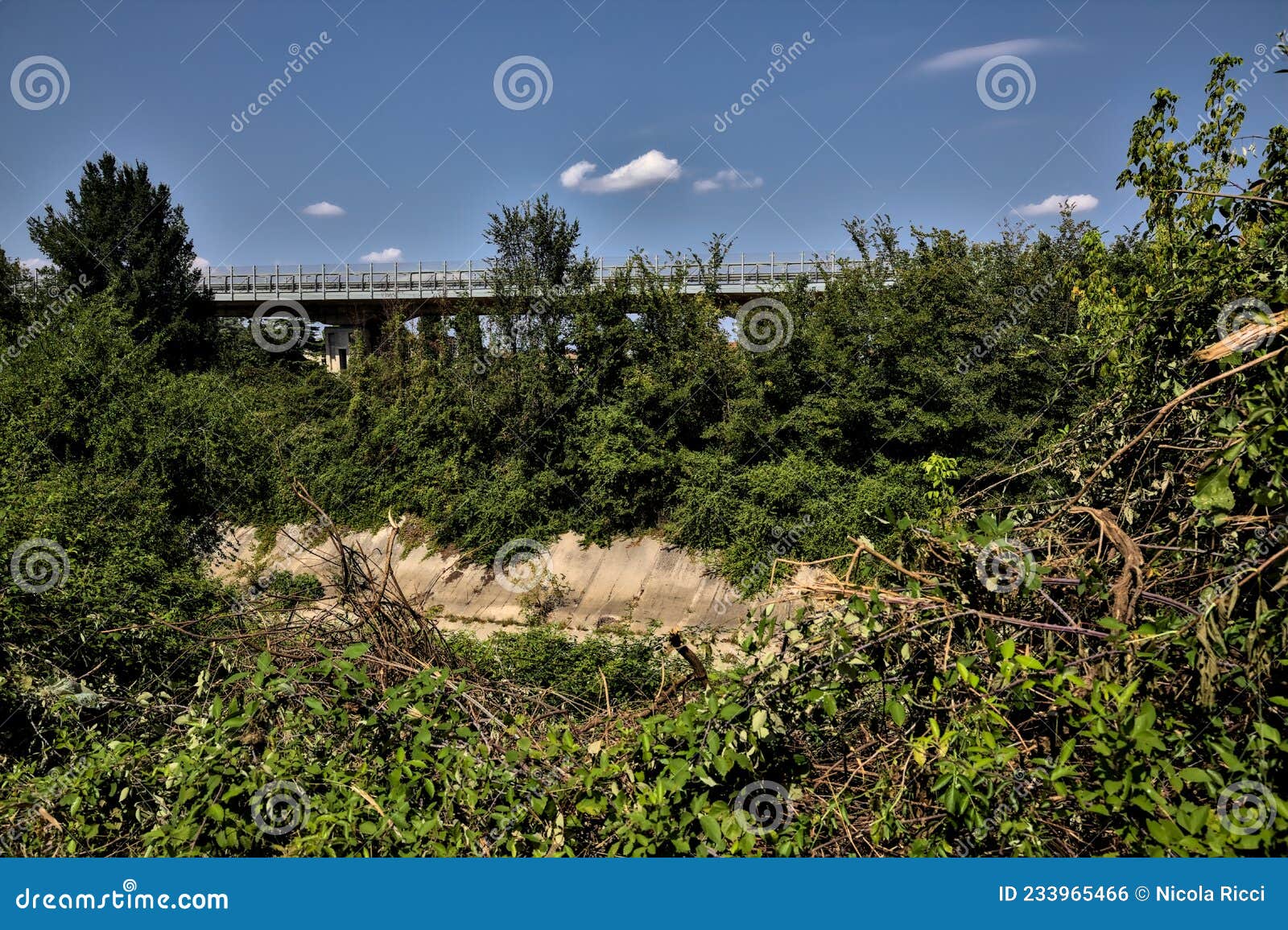Small Viaduct in the Countryside Framed by Trees and a Clear Sky Stock ...