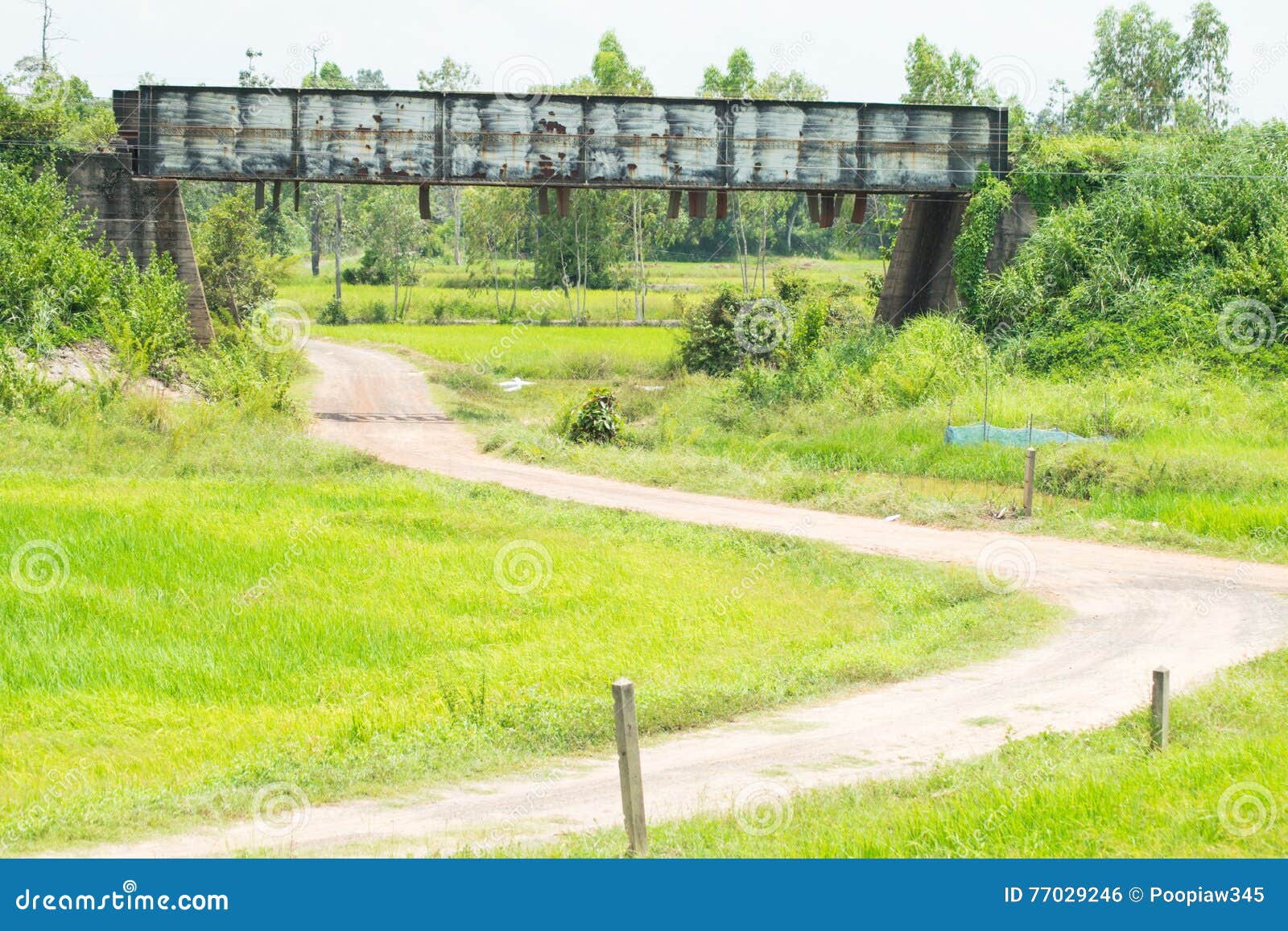 Small Viaduct with Road on Green Grass Stock Photo - Image of concrete ...