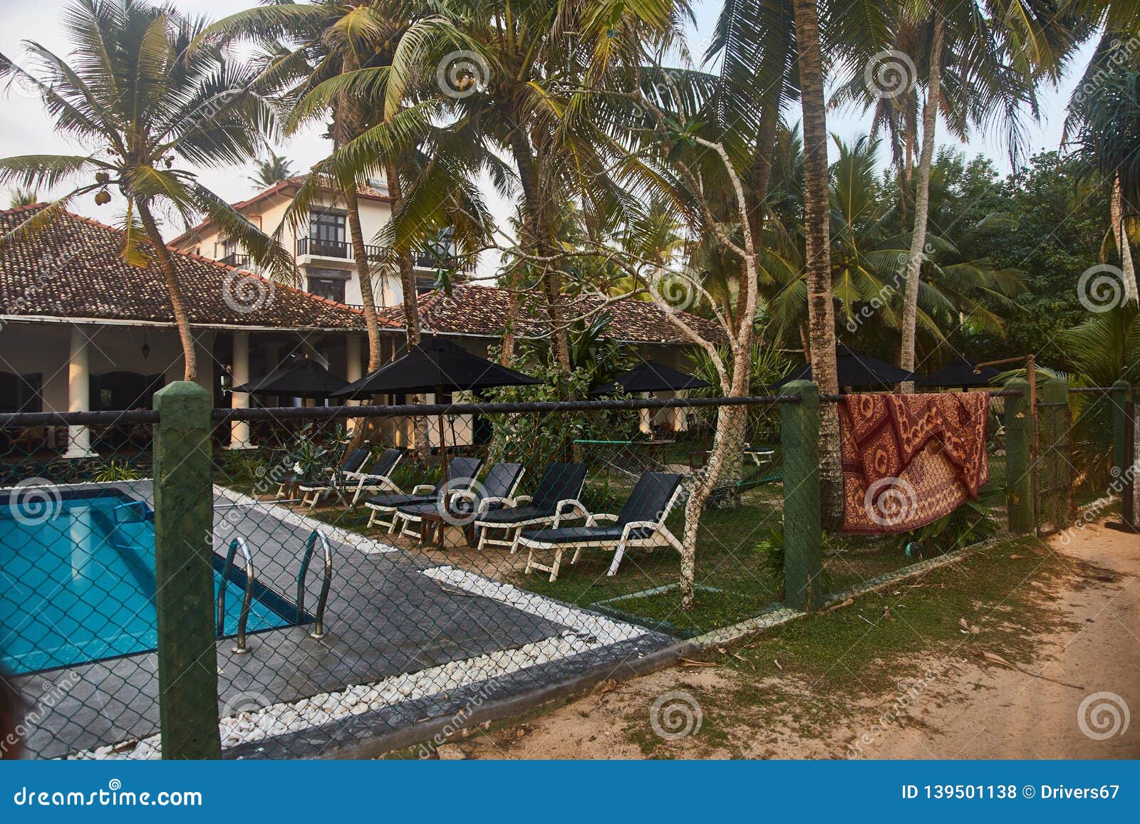 Small Villa with Swimming Pool in Sri Lanka Stock Photo - Image of pool ...