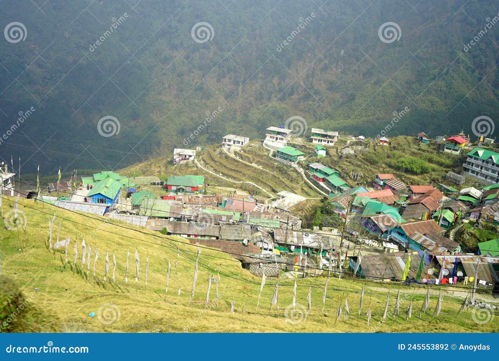 A Small village in Sikkim stock photo. Image of plant - 245553892