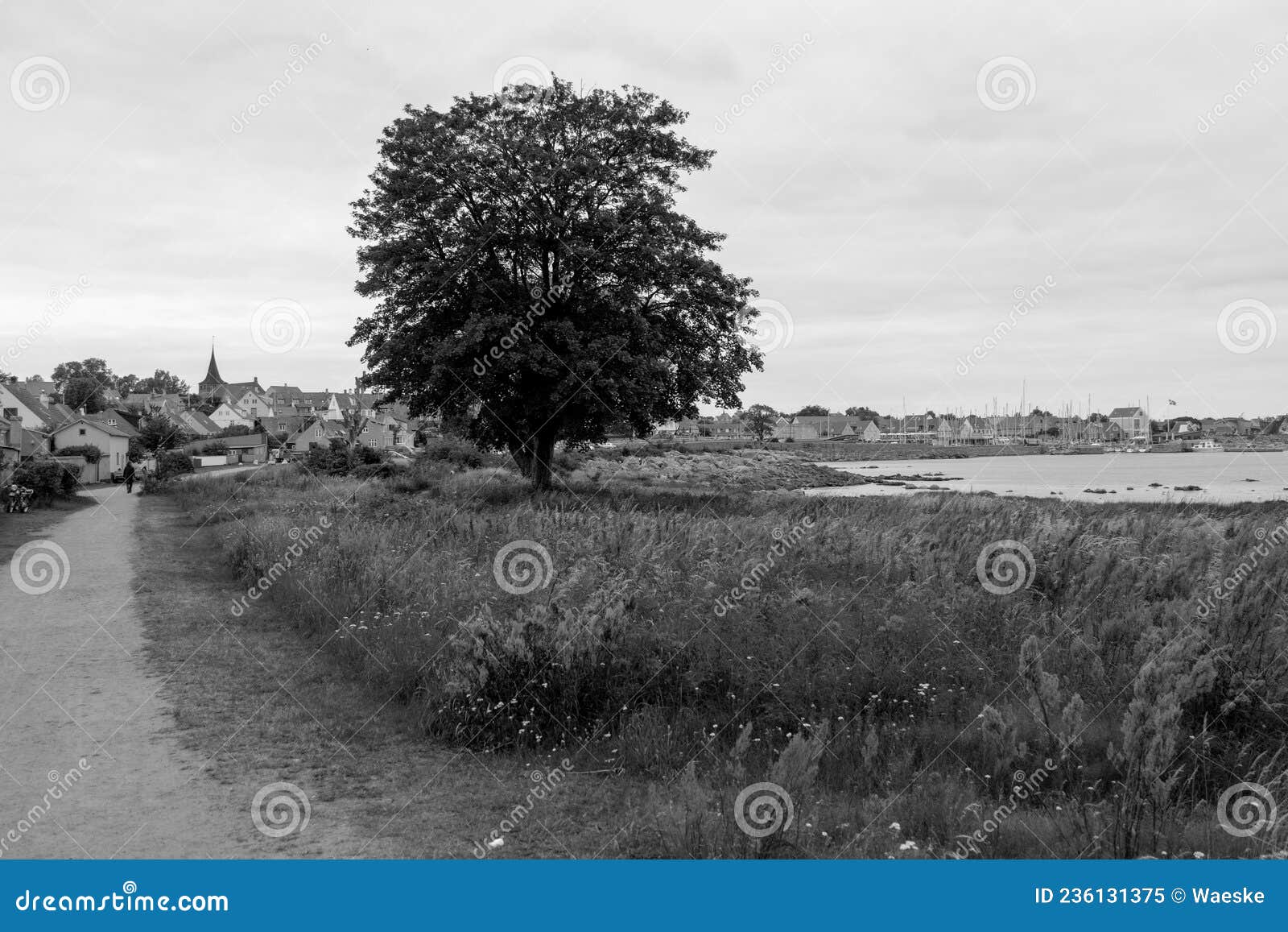 The Small Village of Svaneke at Bornholm Island Stock Image - Image of ... The Small Village of Svaneke at Bornholm Island Stock Image - Image of ...