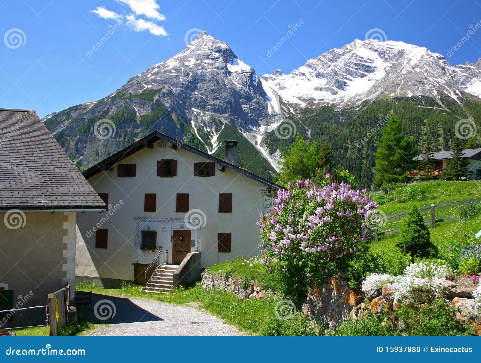 Small Village in the Swiss Alps Stock Photo - Image of forest ...