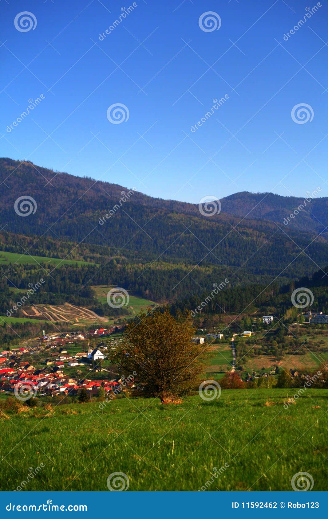 Small village in a valley stock photo. Image of bright - 11592462