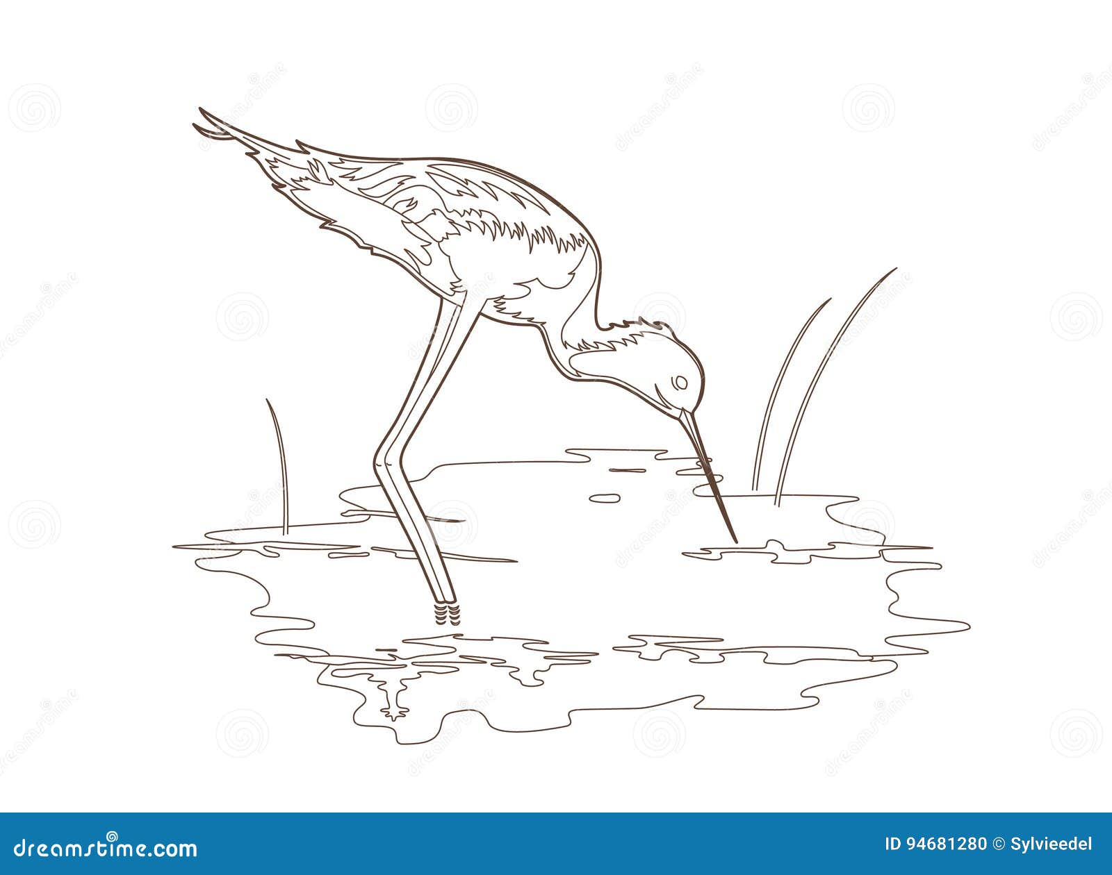 Small wader stock vector. Illustration of file, drawing - 94681280